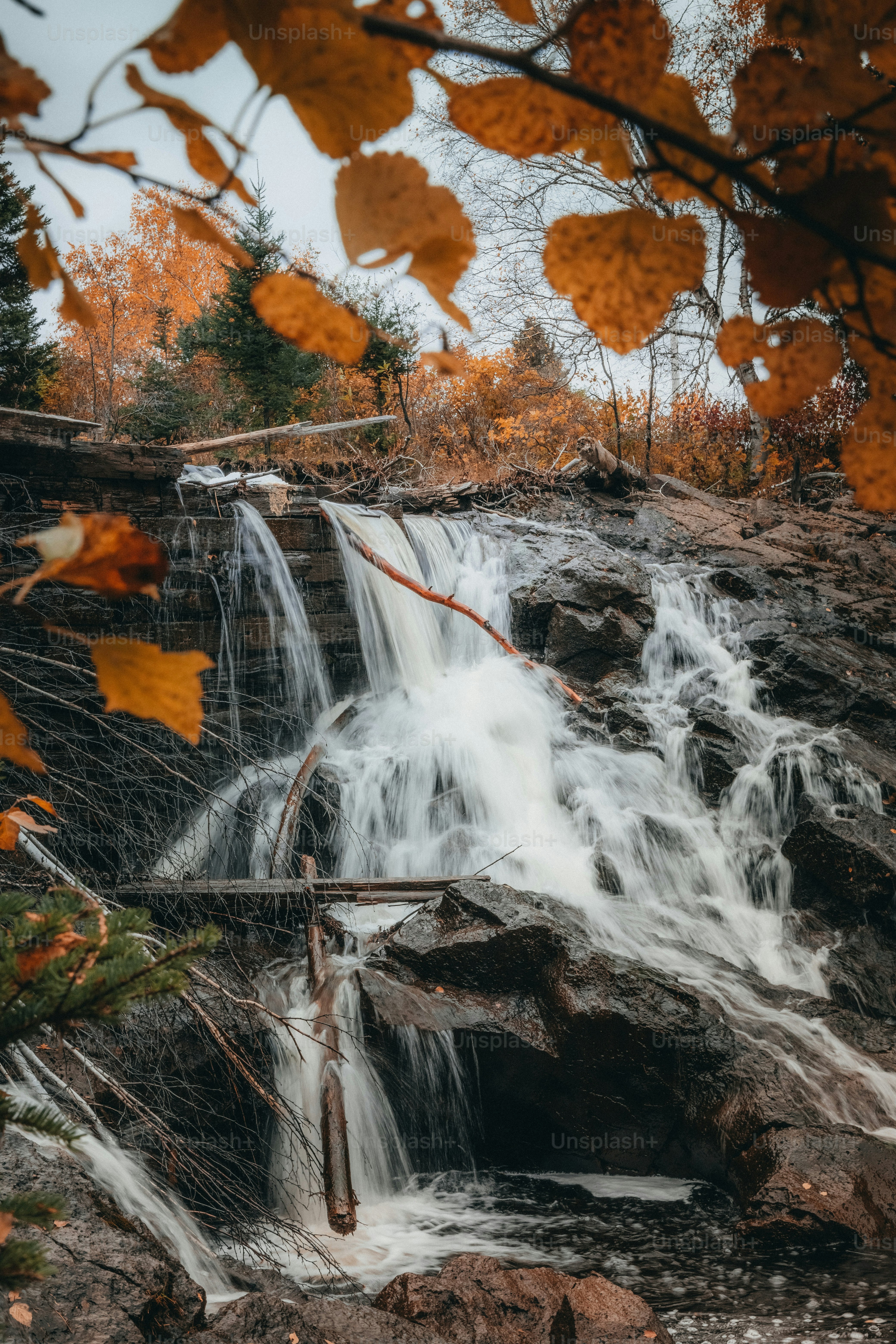 1000+ Water Fall Pictures | Download Free Images on Unsplash