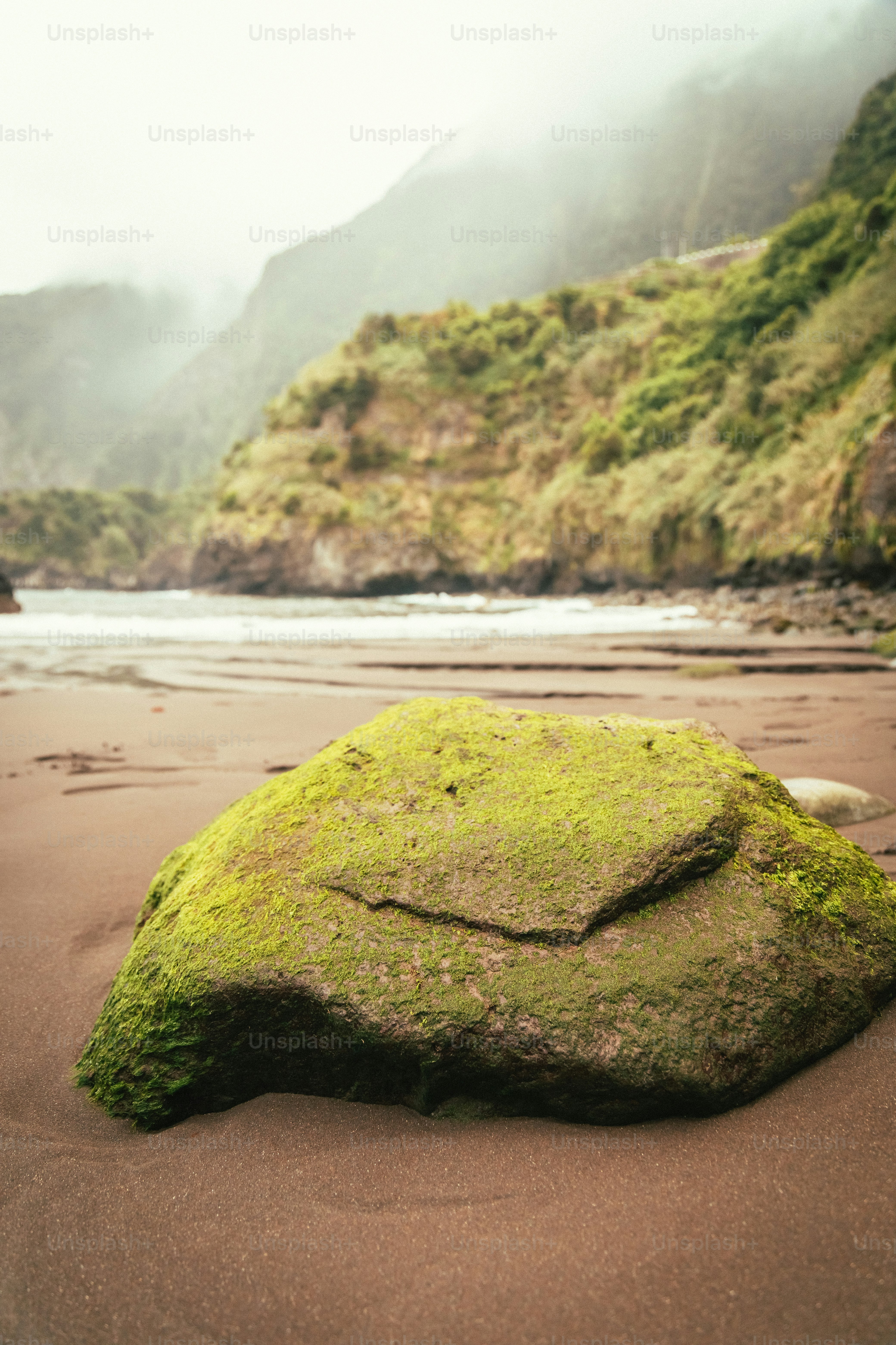 Un rocher recouvert de mousse verte sur une plage photo – Image de ...