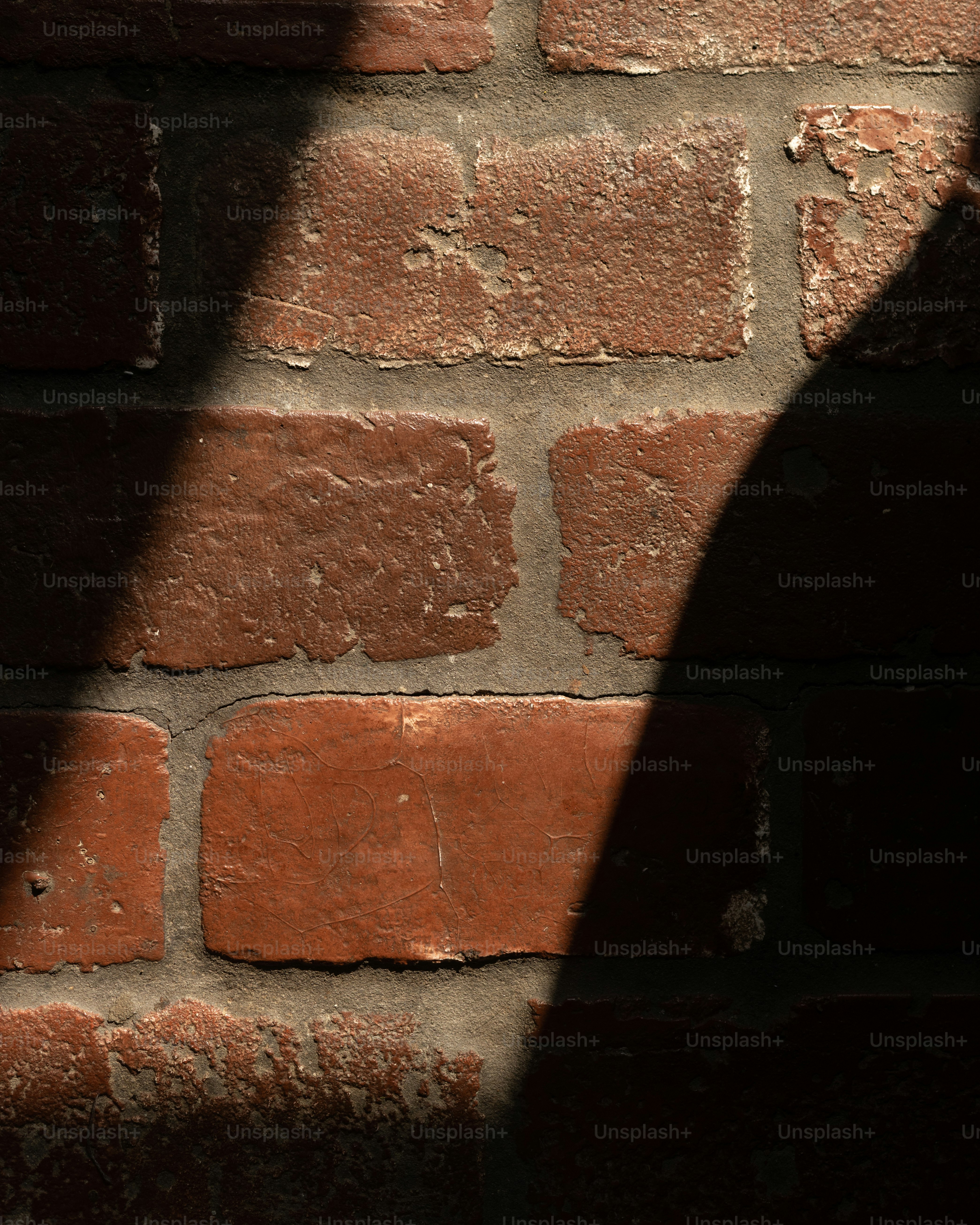 20+ Wall Pictures & Images [HQ] | Download Free Photos on Unsplash