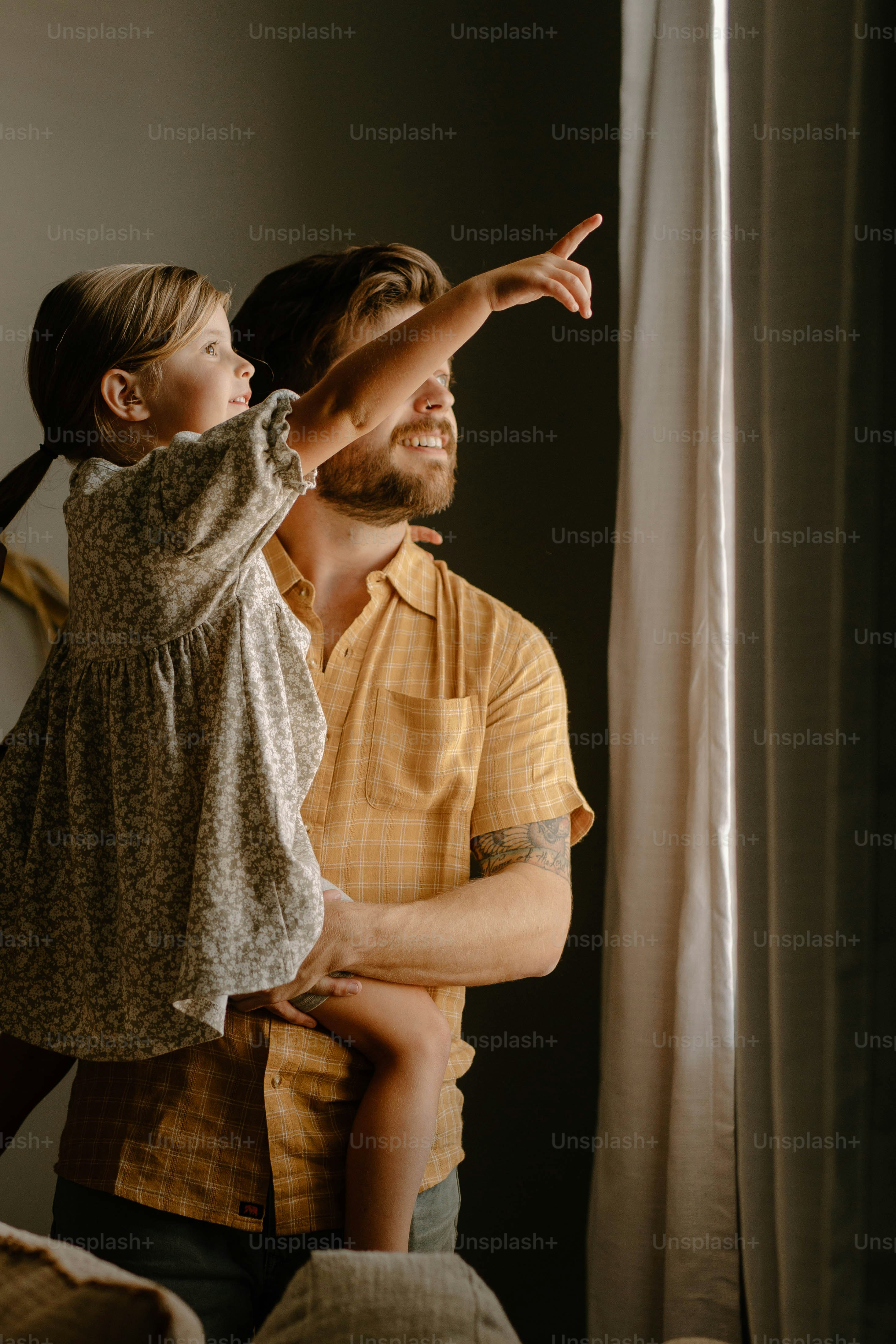 Carry Pictures | Download Free Images on Unsplash