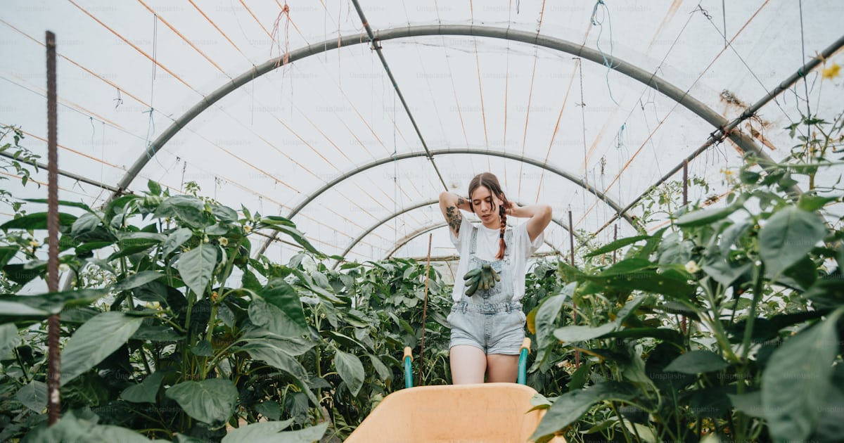 温室の手押し車の上に立っている女性の写真 植物の手入れ Unsplashの写真