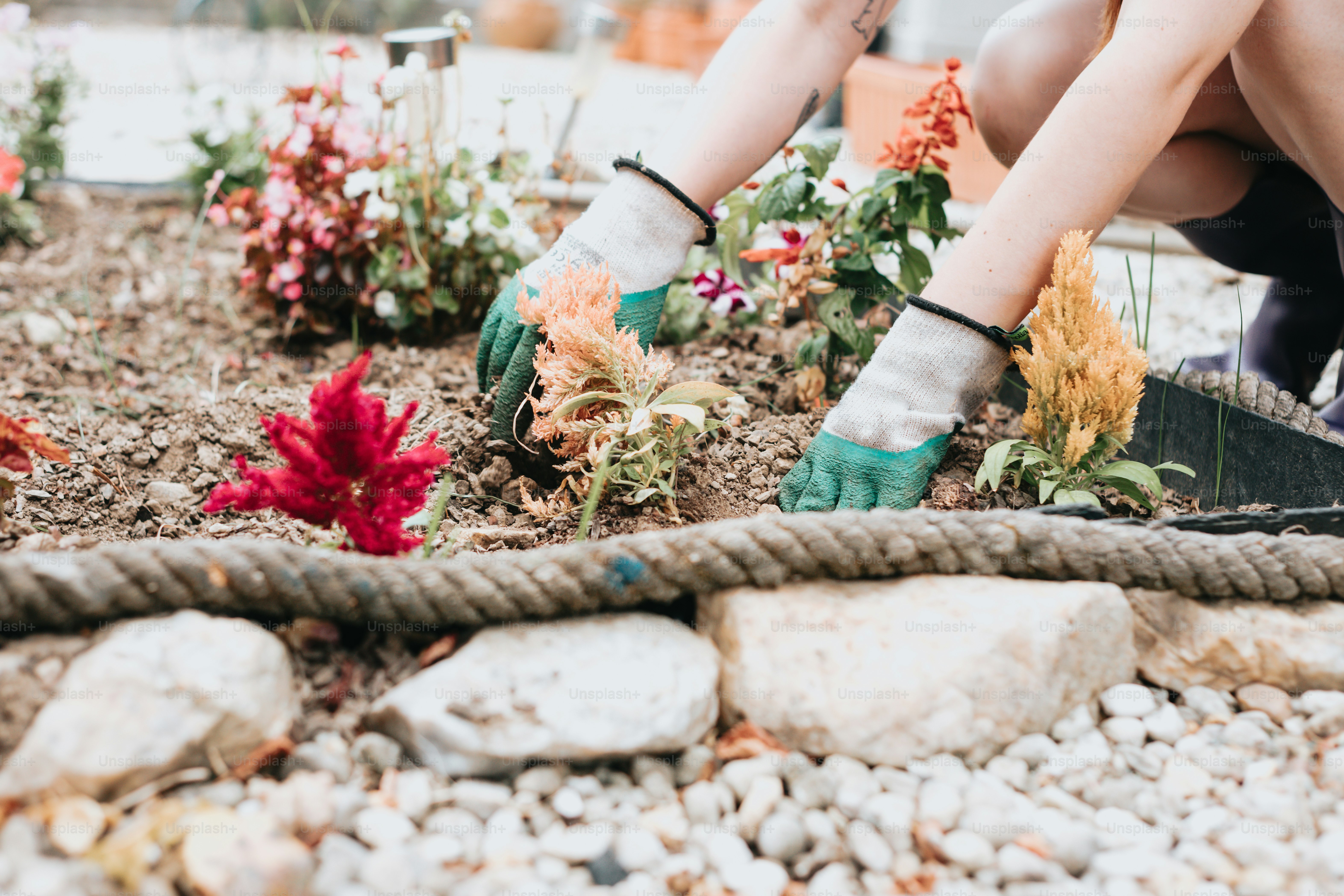 Growing Up Pictures | Download Free Images on Unsplash