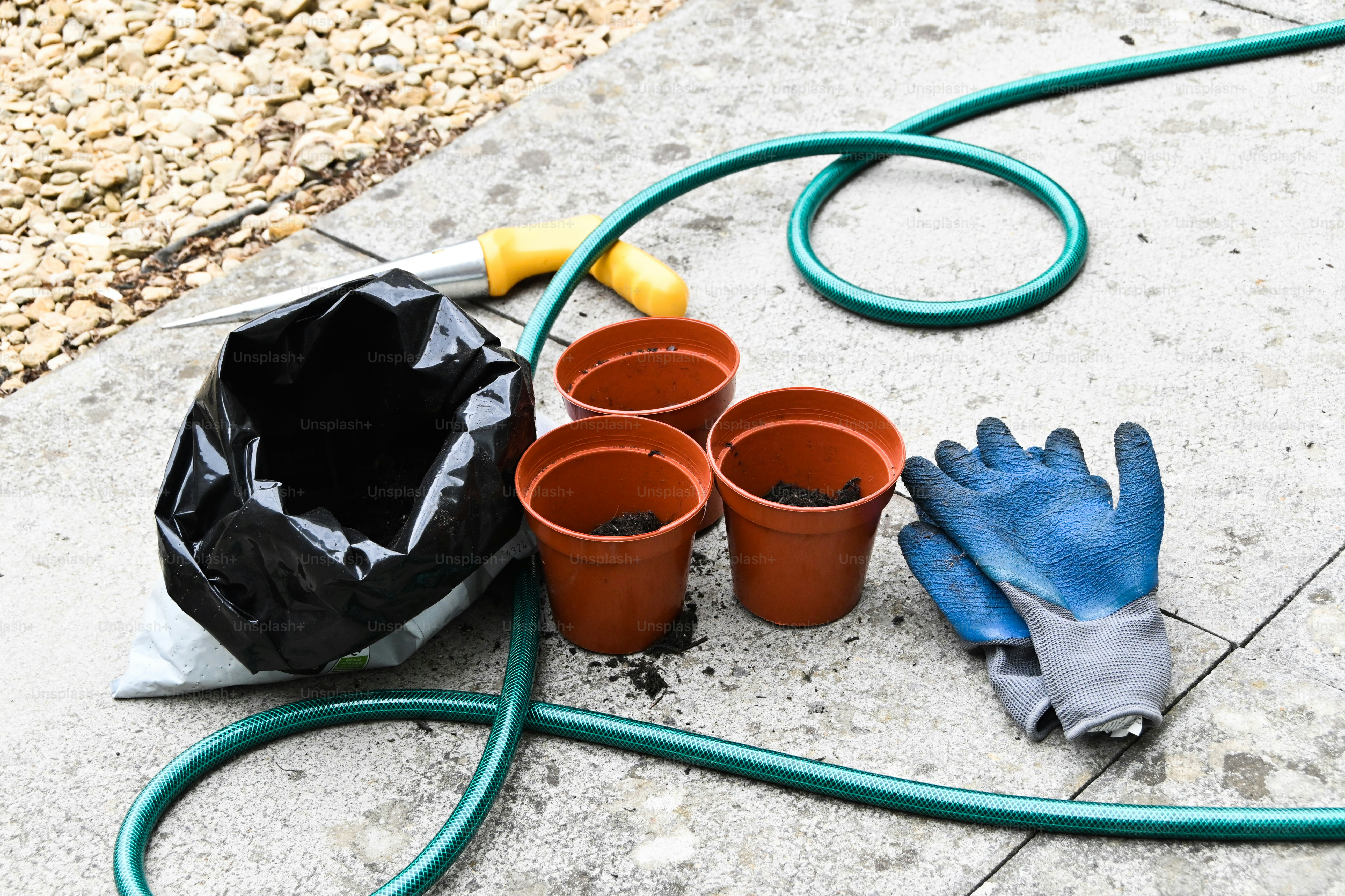 Garden Hose Pictures | Download Free Images on Unsplash