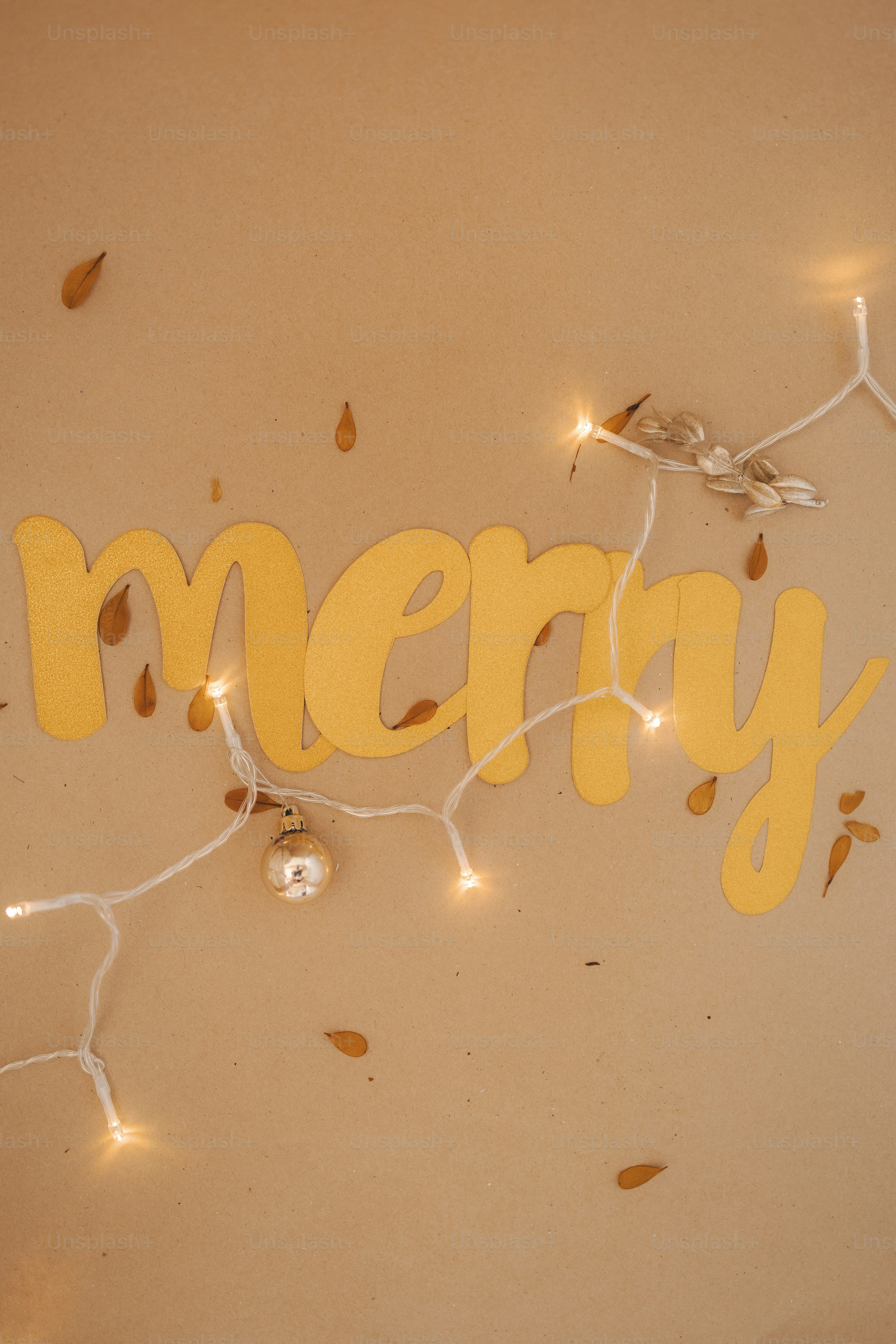 Merry Pictures | Download Free Images on Unsplash