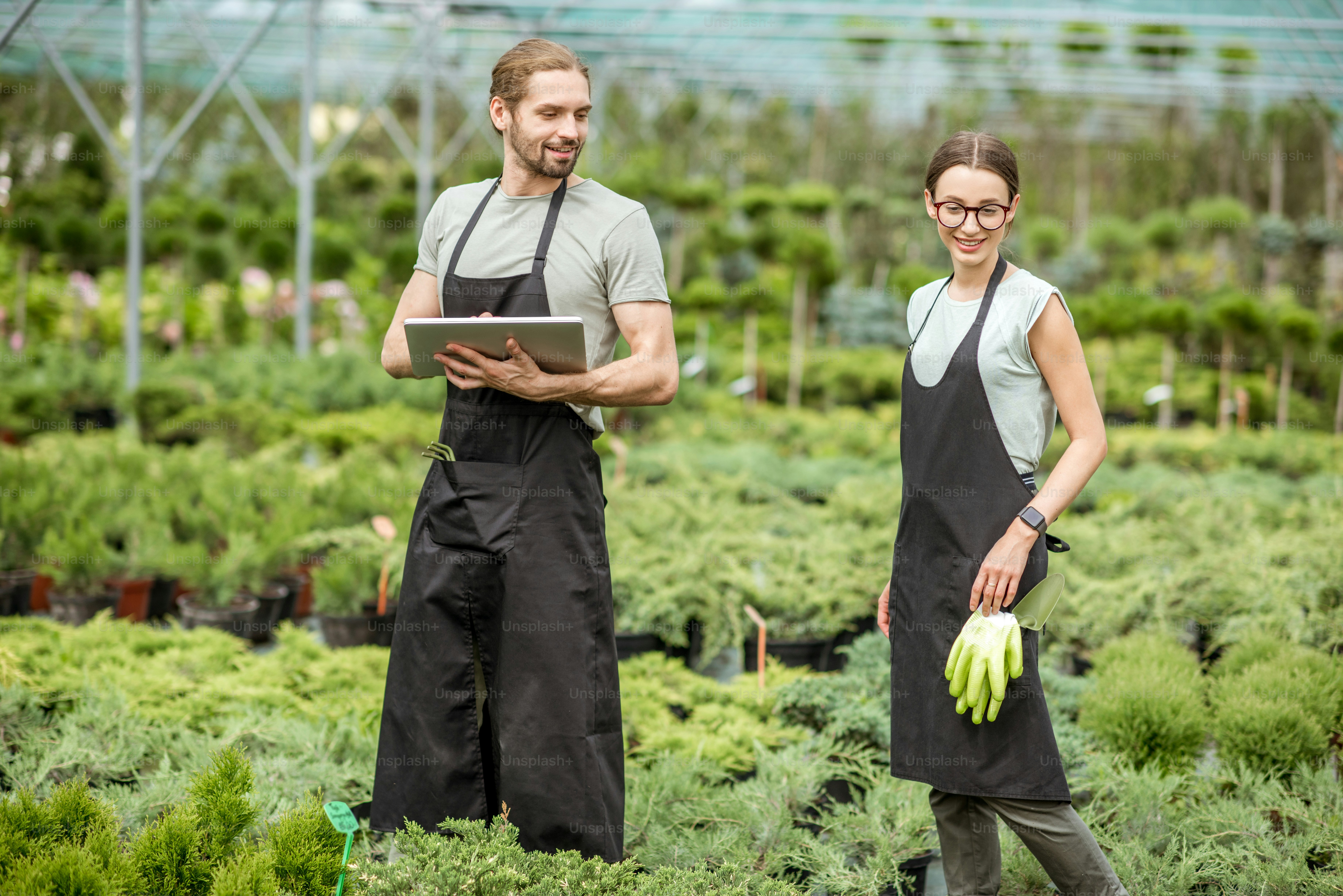 Couple of workers in uniform using digital tablet working with plants ...