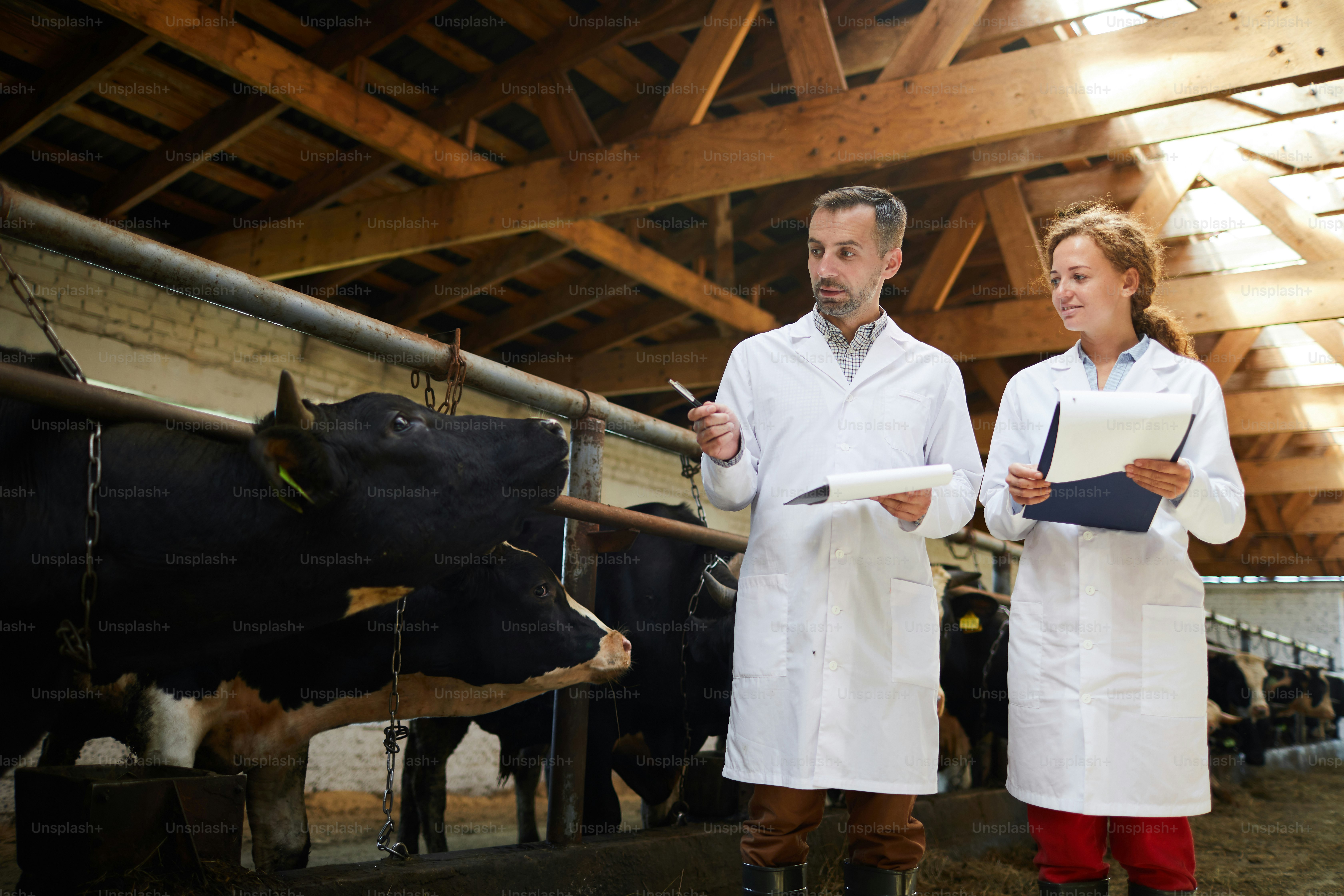Portrait of two modern farm workers wearing lab coats walking by row of ...