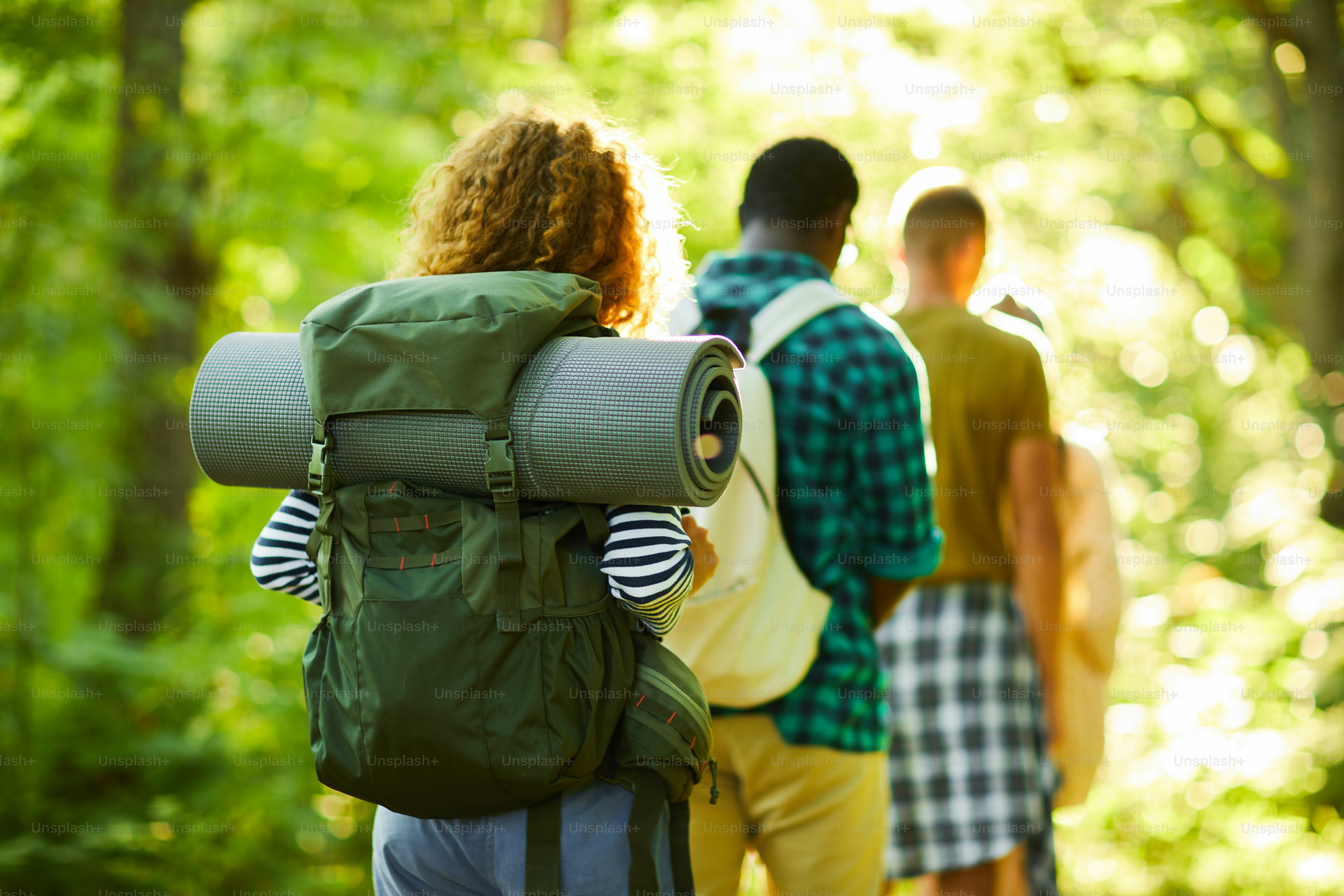 Rear view of young campers walking in natural environment while walking ...