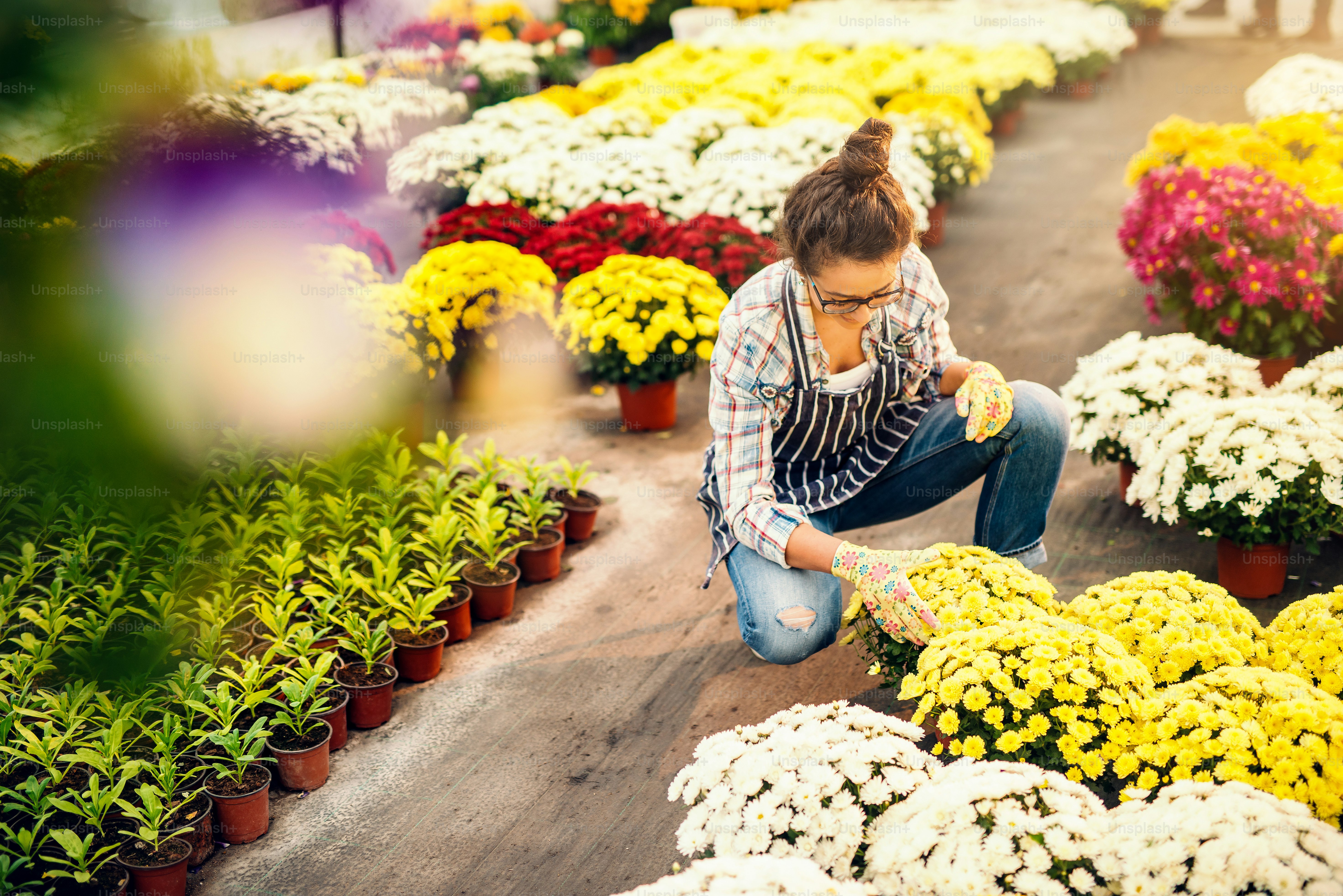 Hardworking cute florist kneeling and cultivating flowers in pots ...