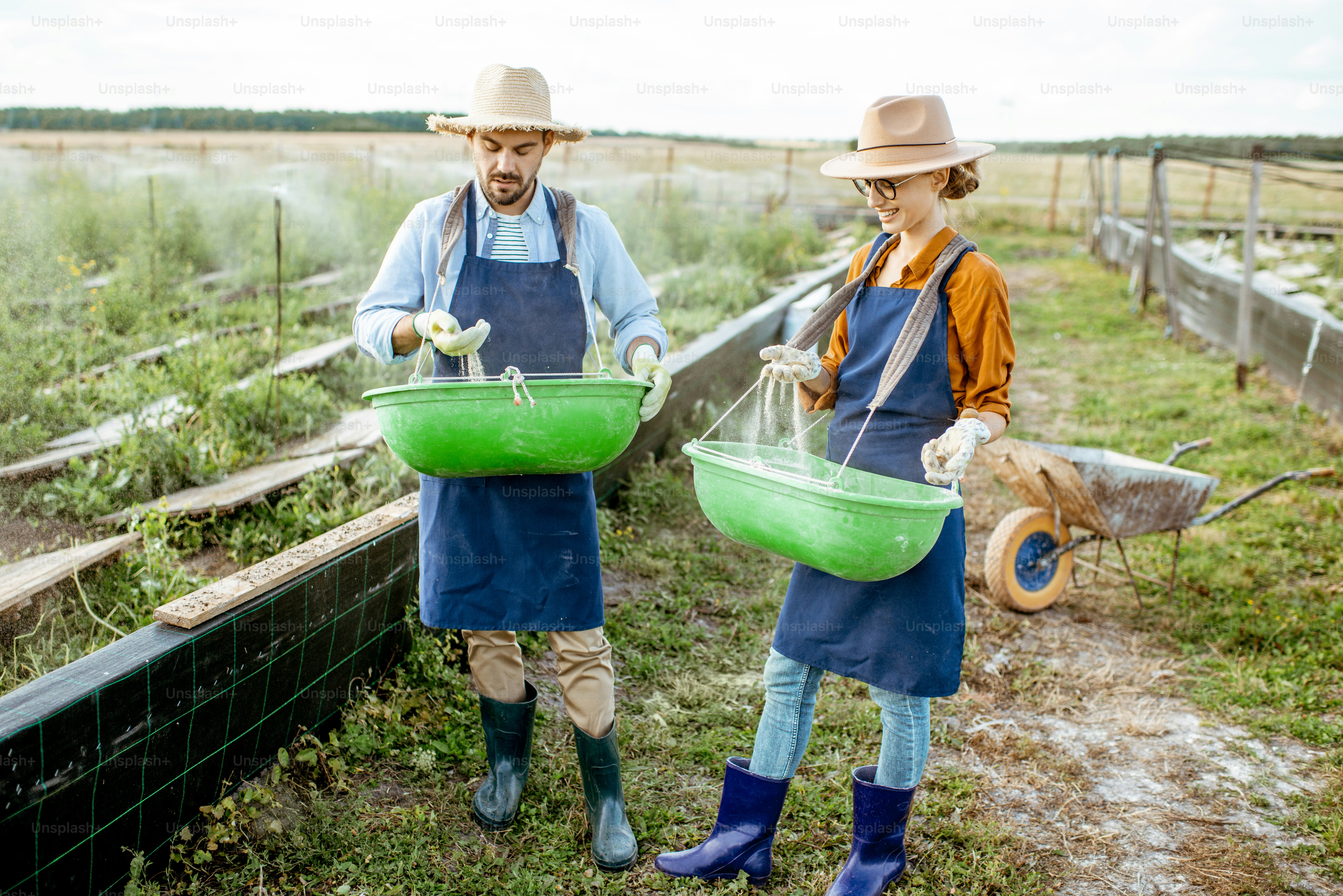 Well-dressed farmers standing on the farmland with green buckets for ...