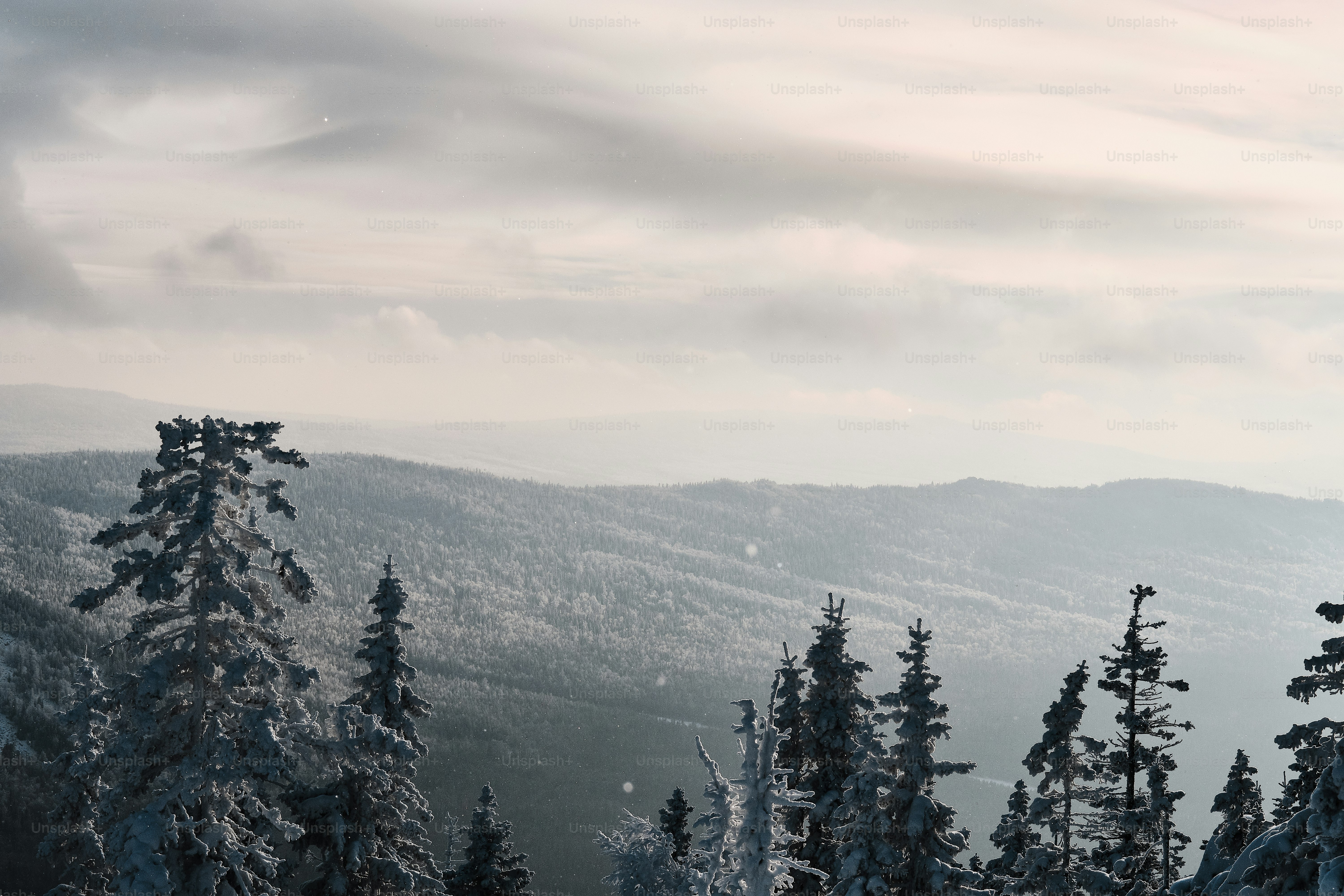 Winter landscape of Taganay mountain chain covered with snow and clouds ...