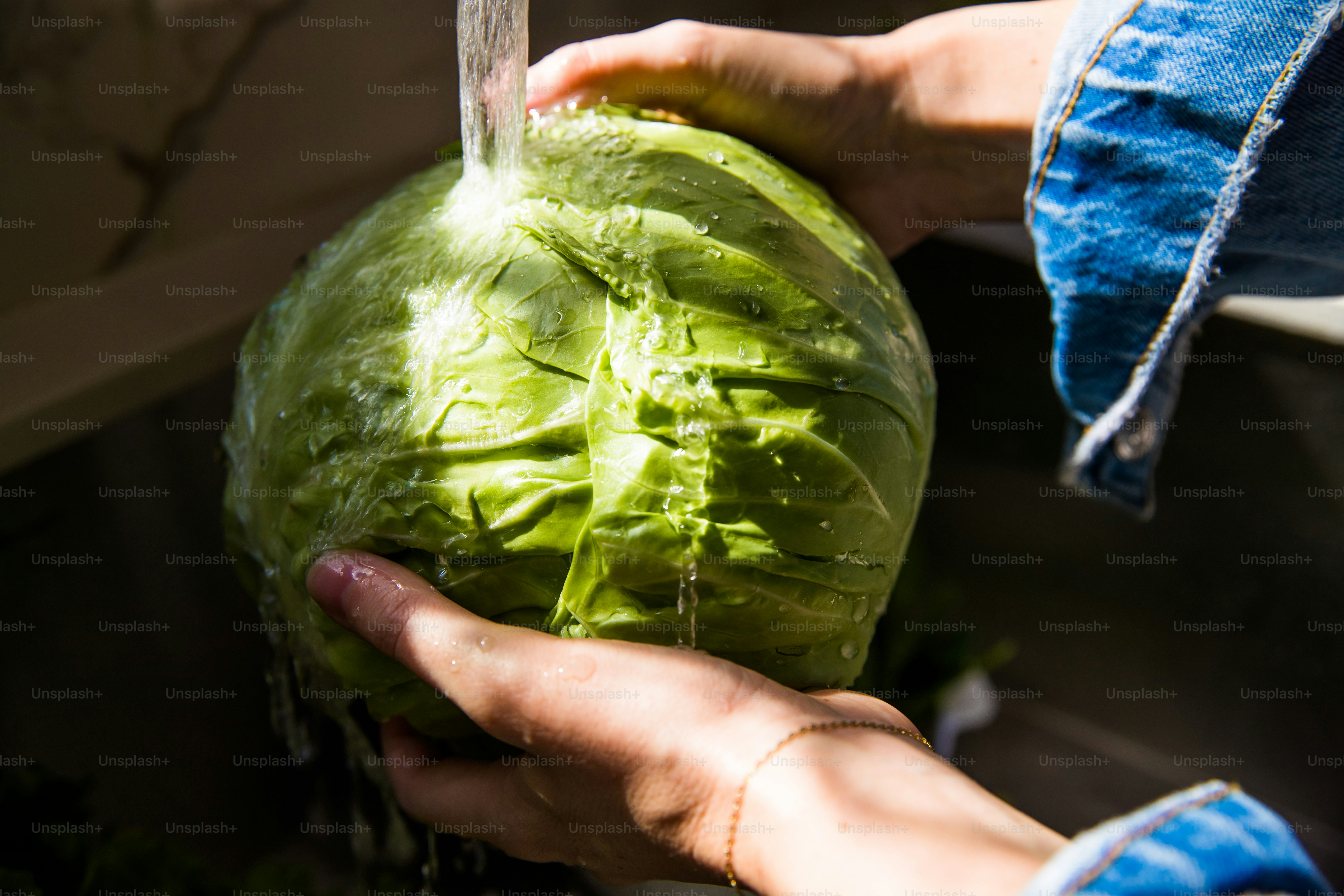 Woman washes cabbage from produce delivery photo – Food Image on Unsplash
