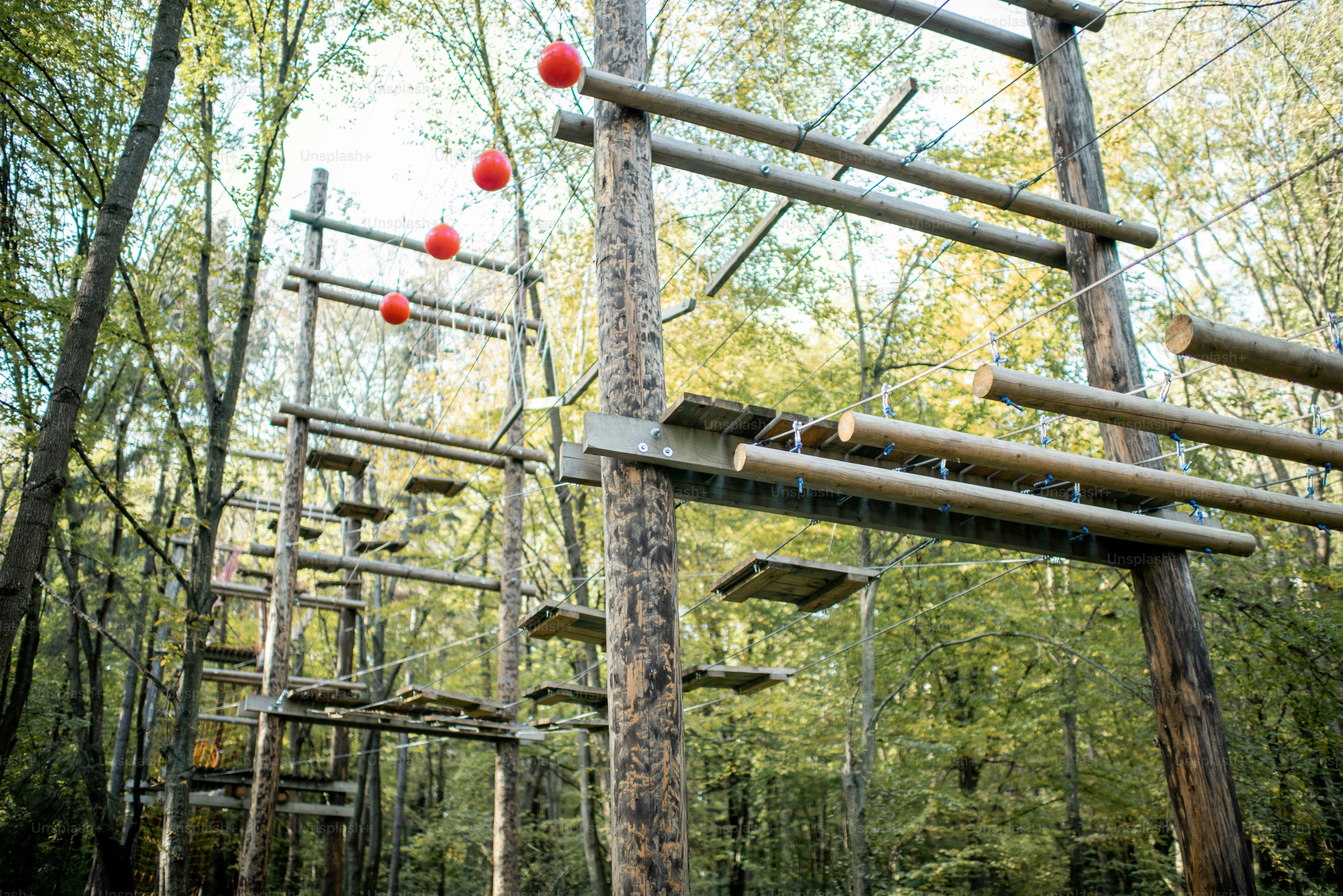 Rope park with obstacles in the forest photo – Tree Image on Unsplash