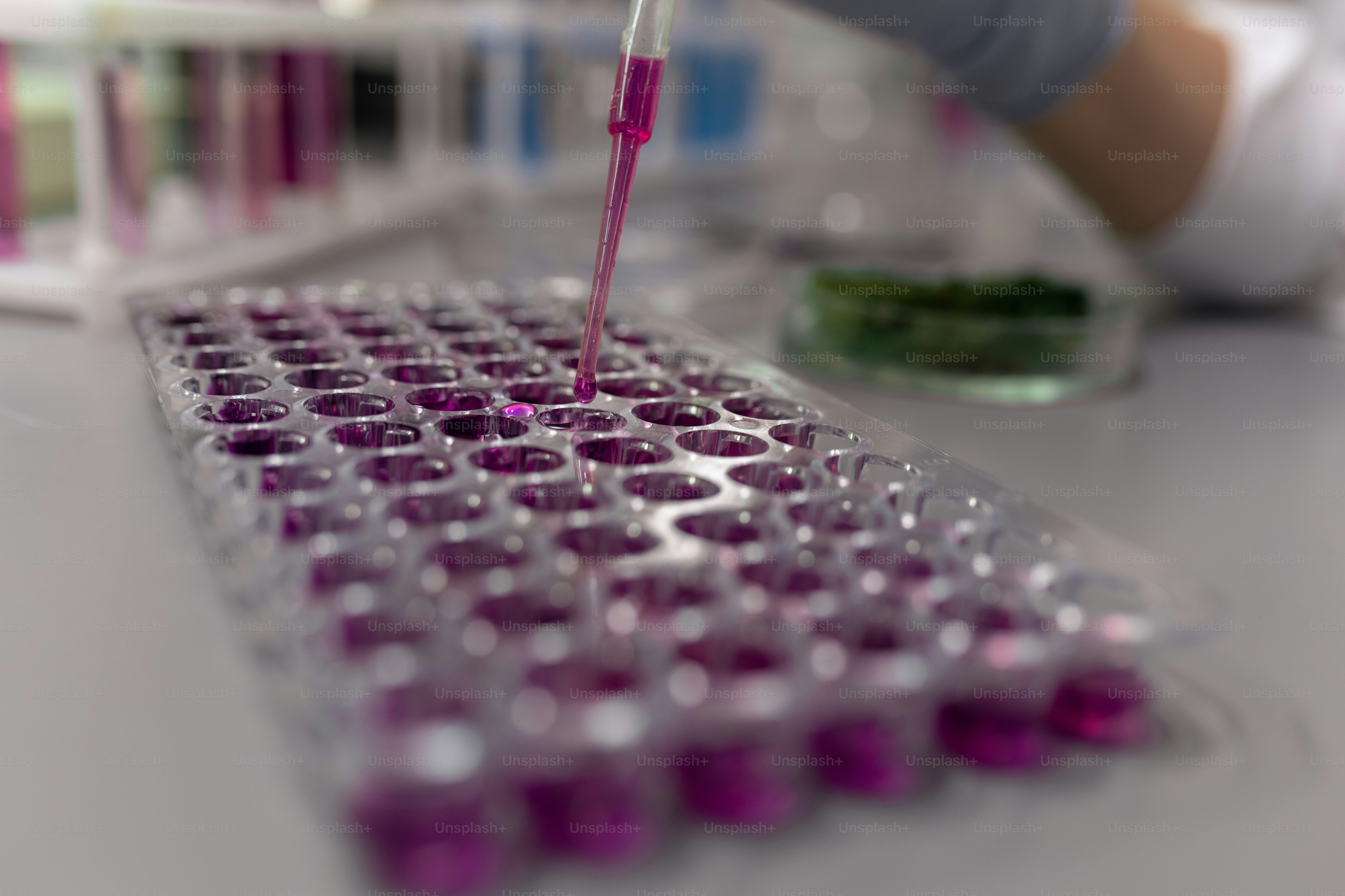Plastic containers with purple fluid standing on desk during laboratory ...