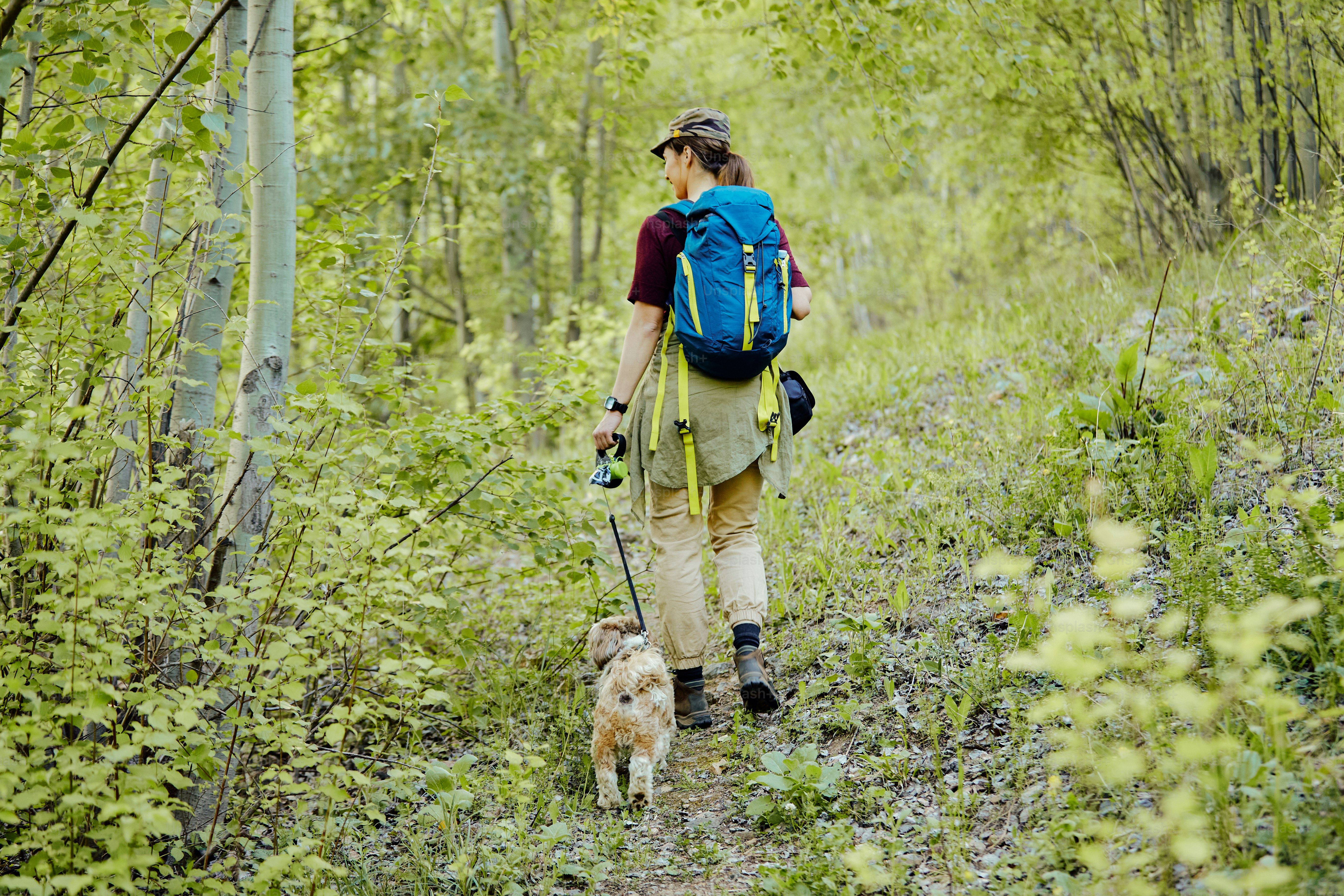 Vue arrière d’une randonneuse et de son chien marchant dans les bois ...