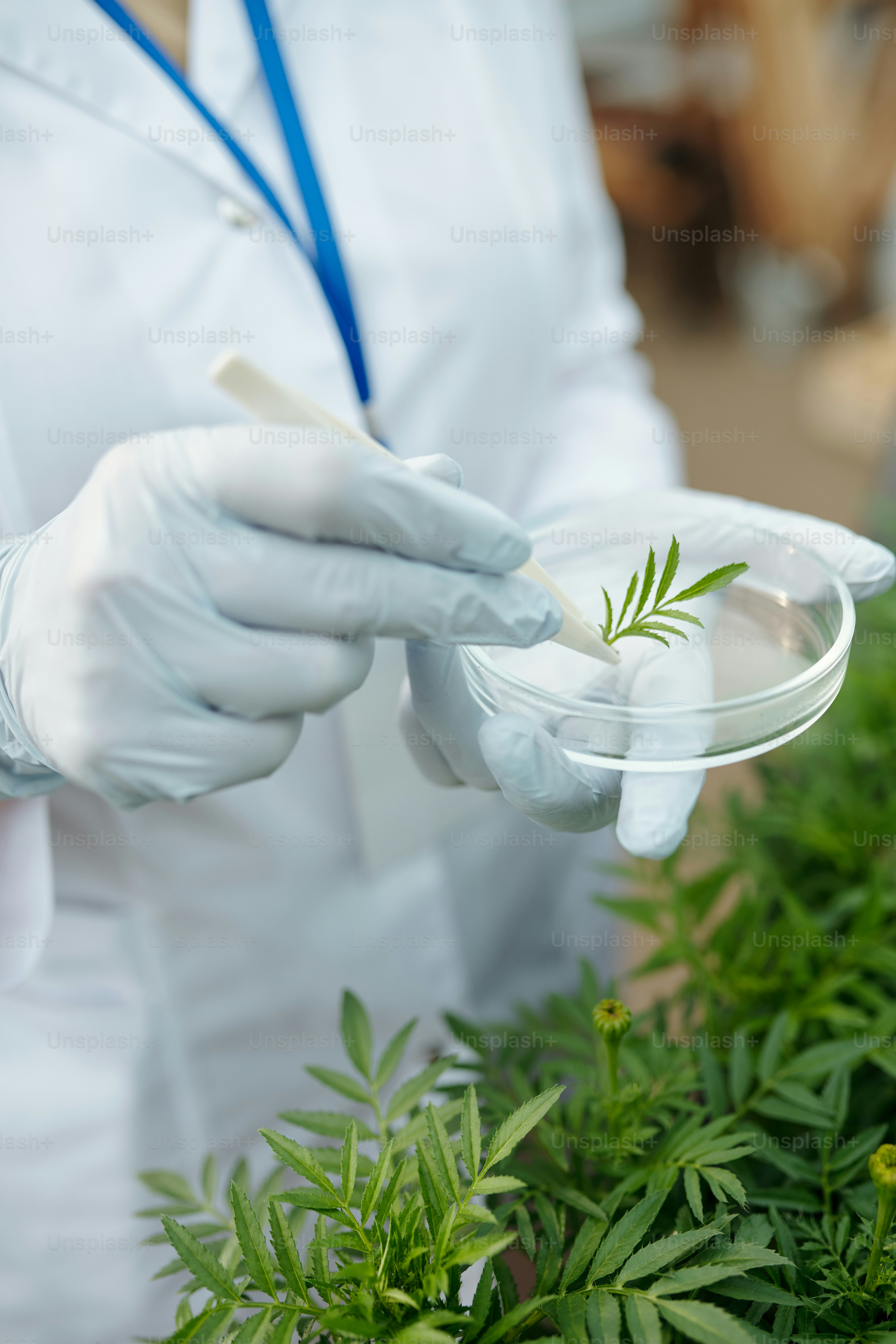 Life Science Pictures | Download Free Images on Unsplash