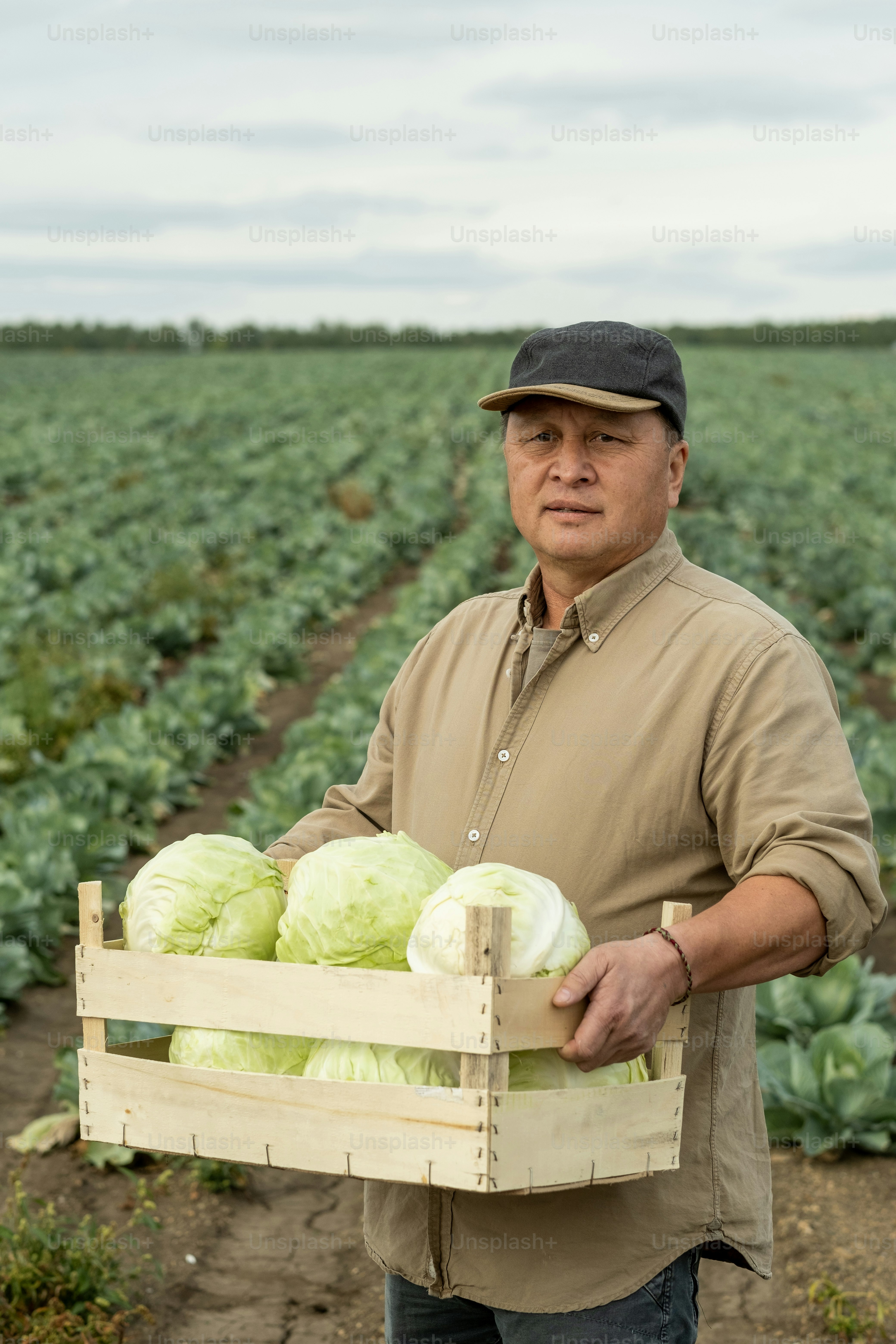 Foto Agricultor masculino de etnia asiática sosteniendo una caja con ...