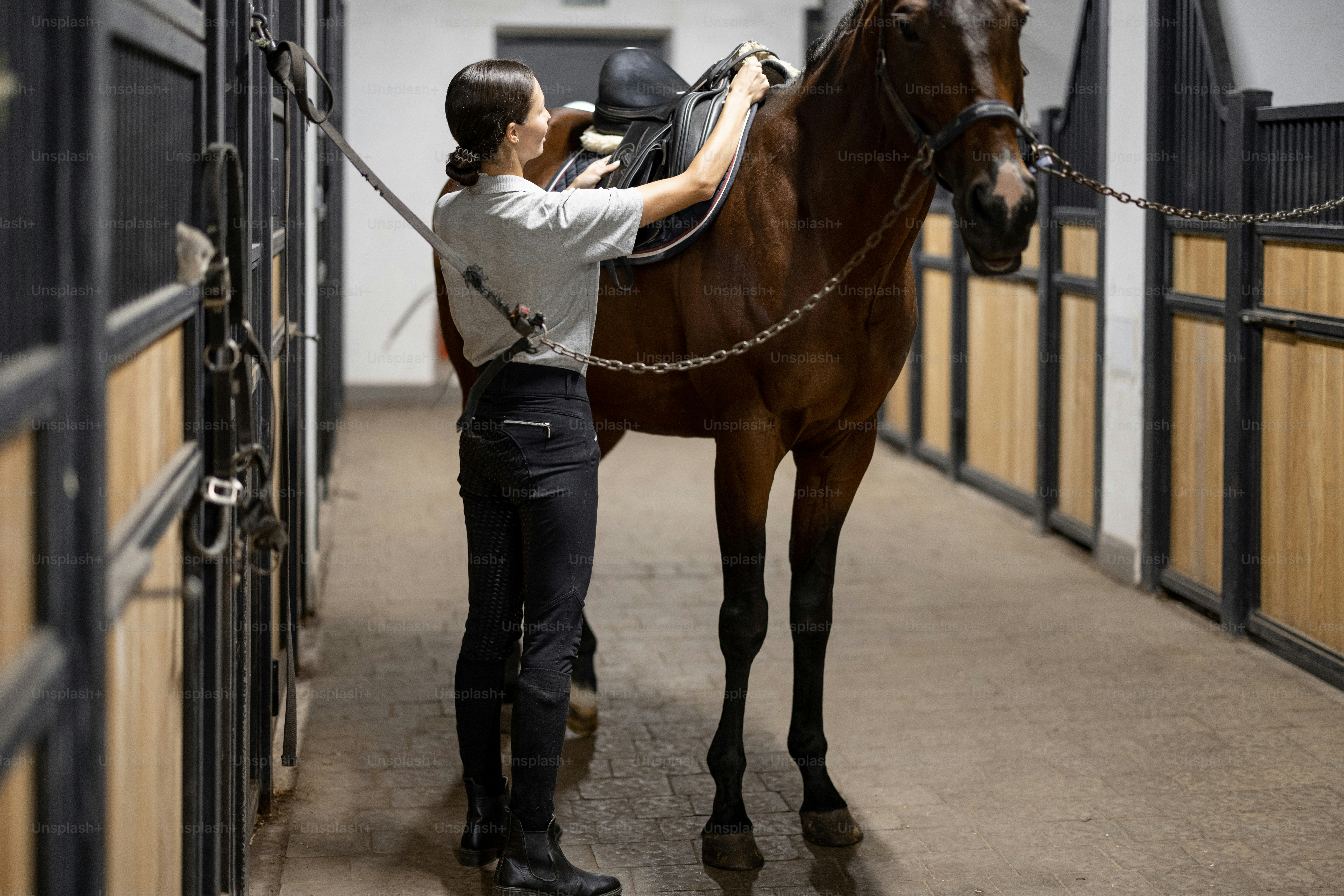 Horse Stable Pictures | Download Free Images on Unsplash