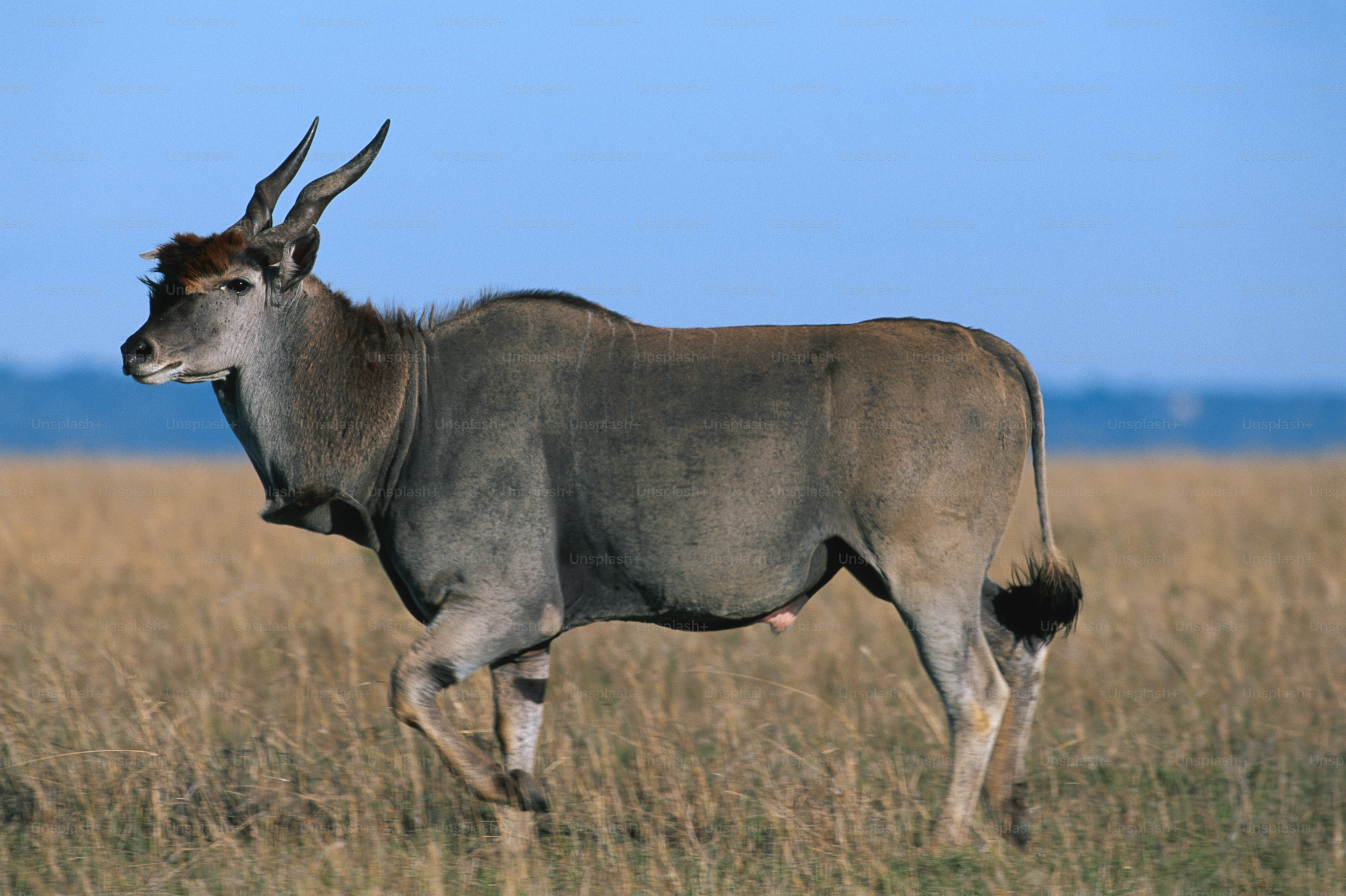 Things To Do in Kibuku 2025 - Top Attractions & Activities | Uganda