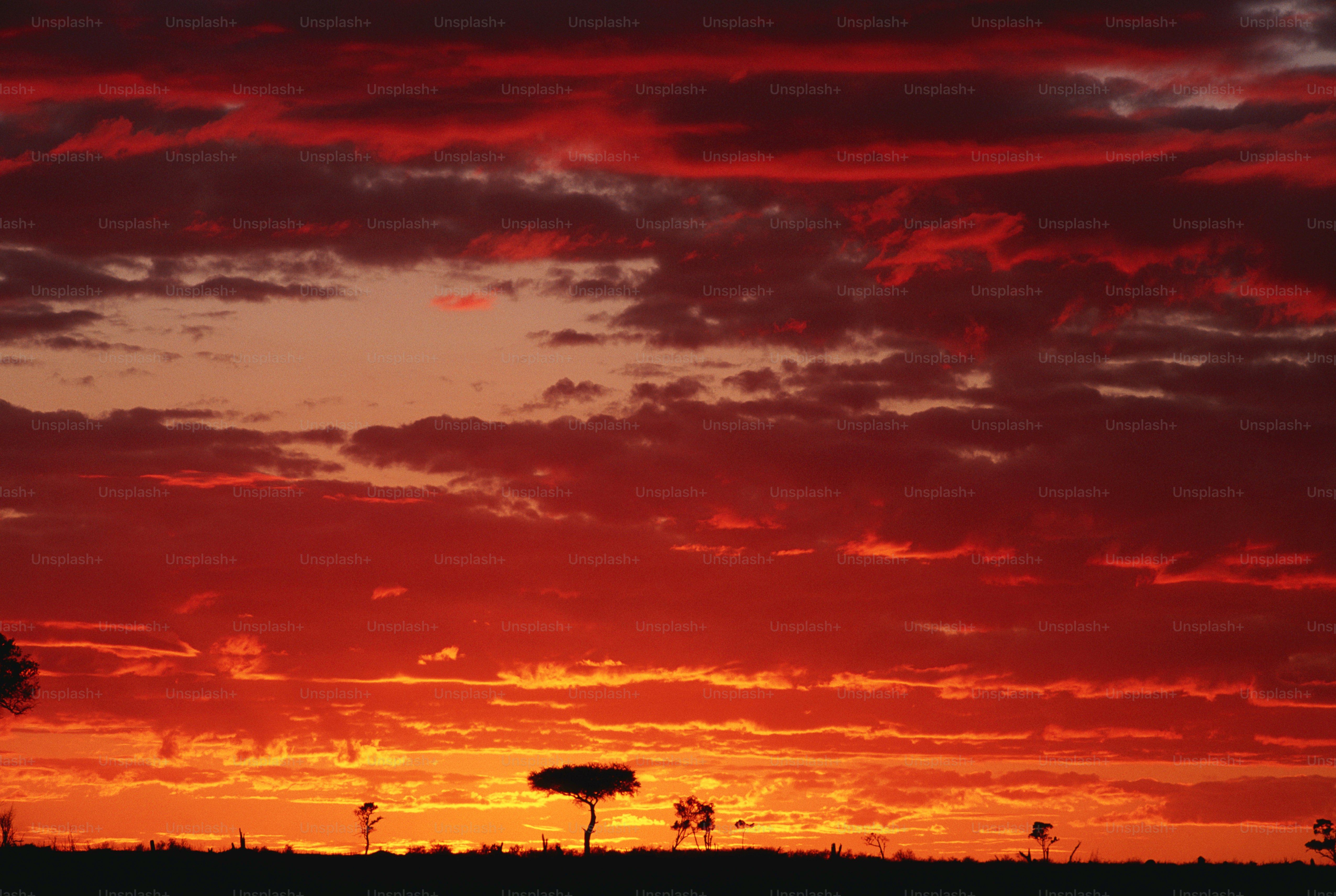 A red sky with clouds and trees in the foreground photo – Orange sky ...