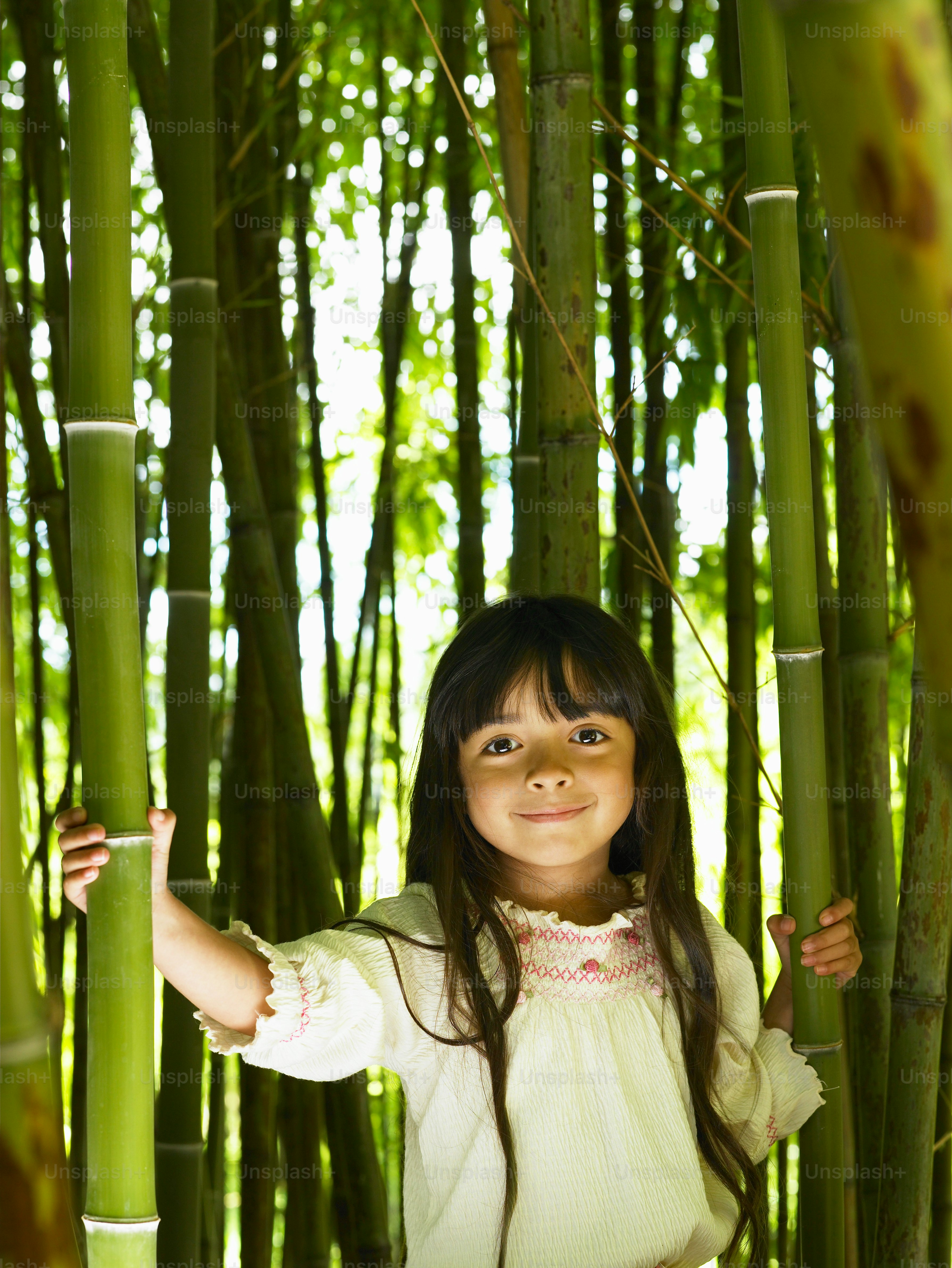 A little girl standing in front of a bamboo tree photo – Bamboo Image ...