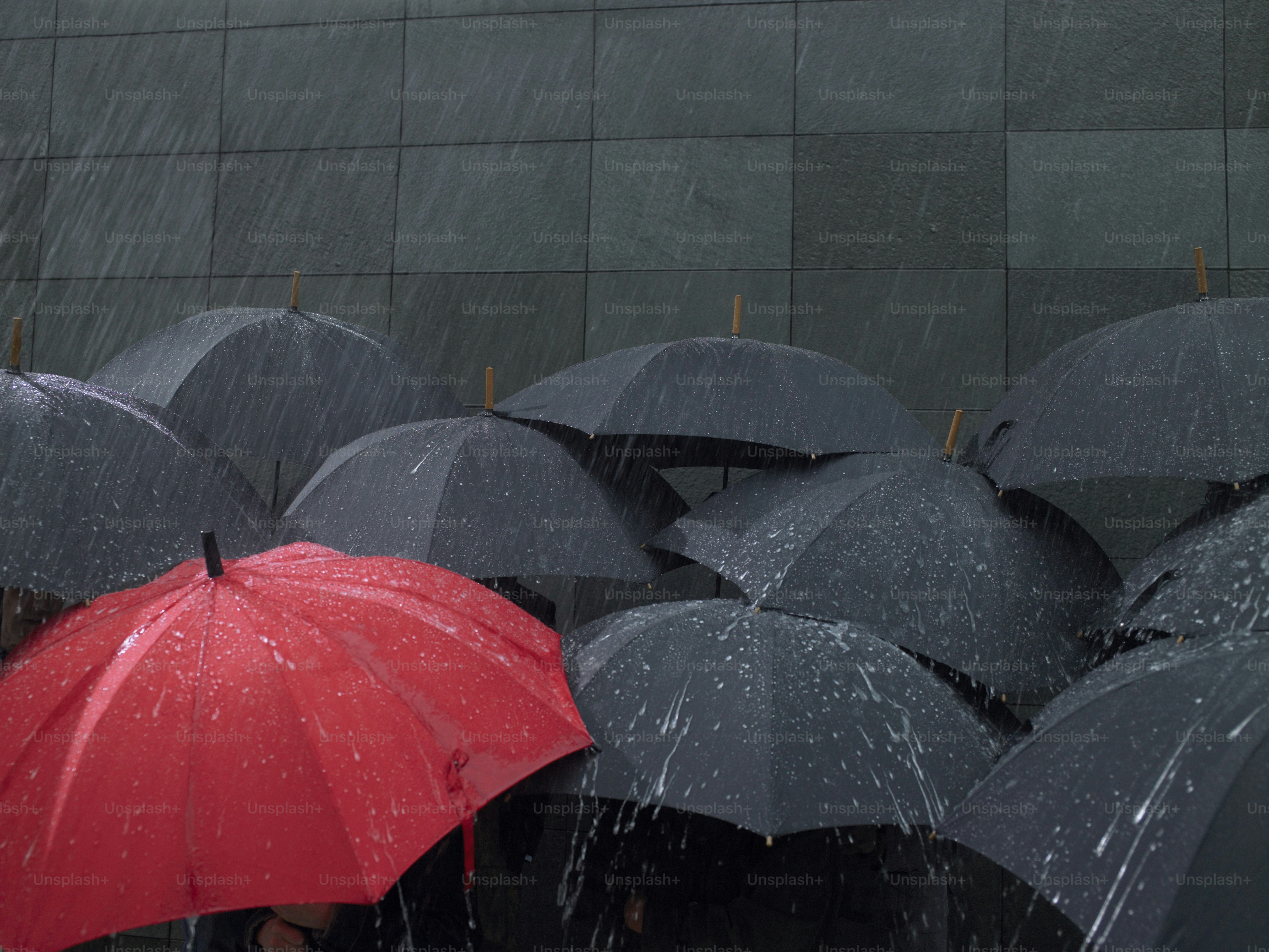 Best 100+ Different Pictures [HQ] | Download Free Images on Unsplash