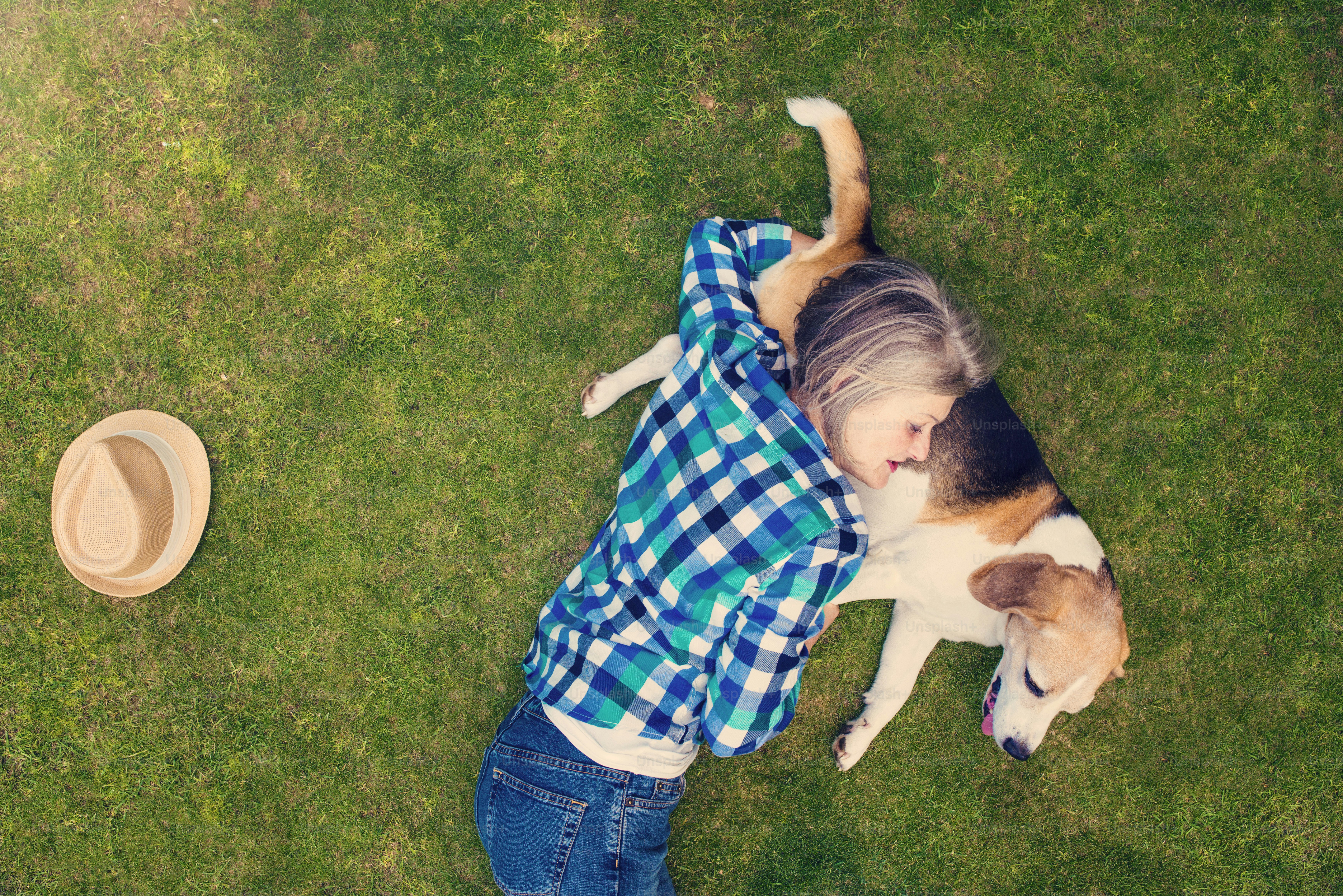 5 Essential Things You Need to Know Before Getting a Dog ...