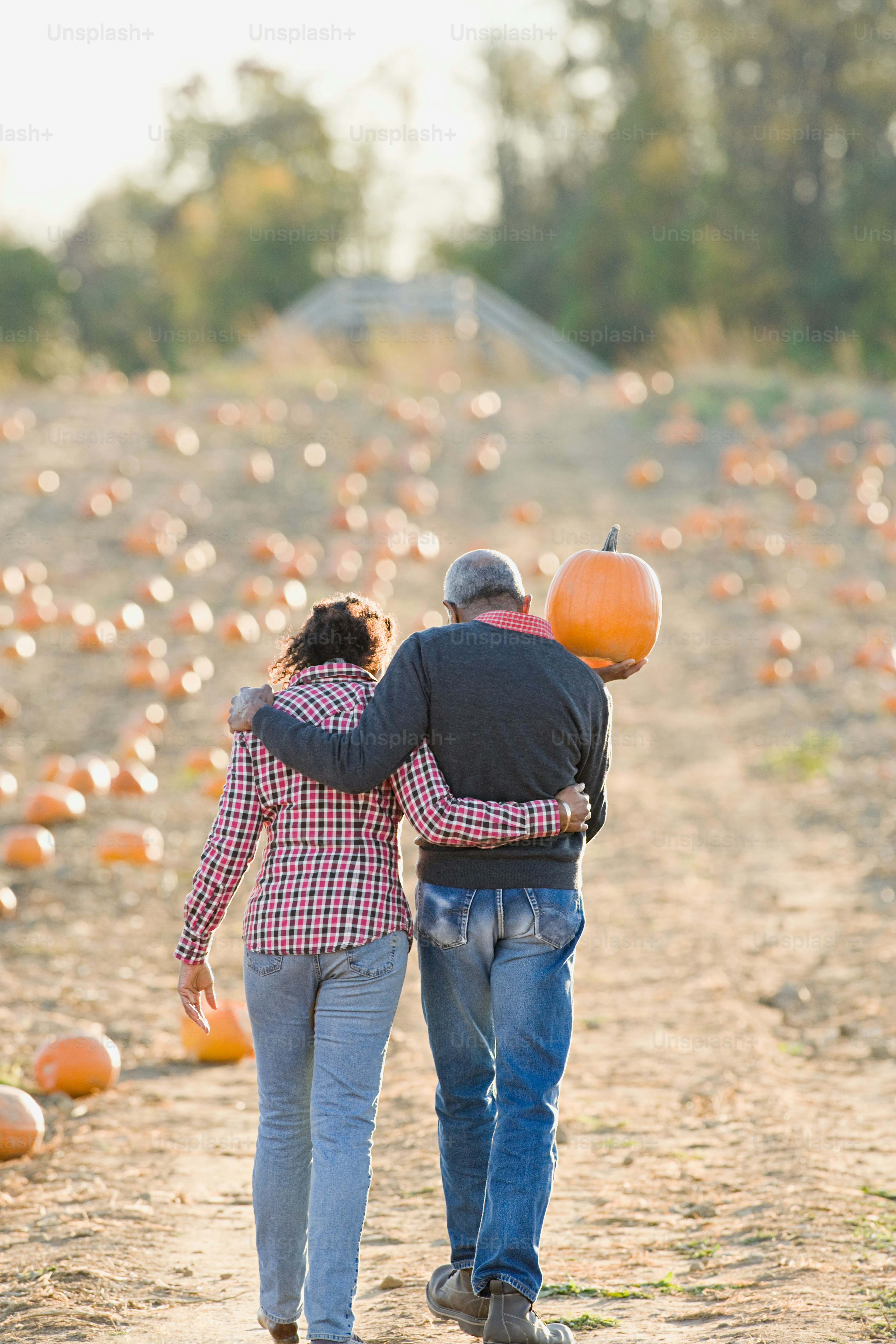 A man and woman walking through a pumpkin patch photo – Healthy ...
