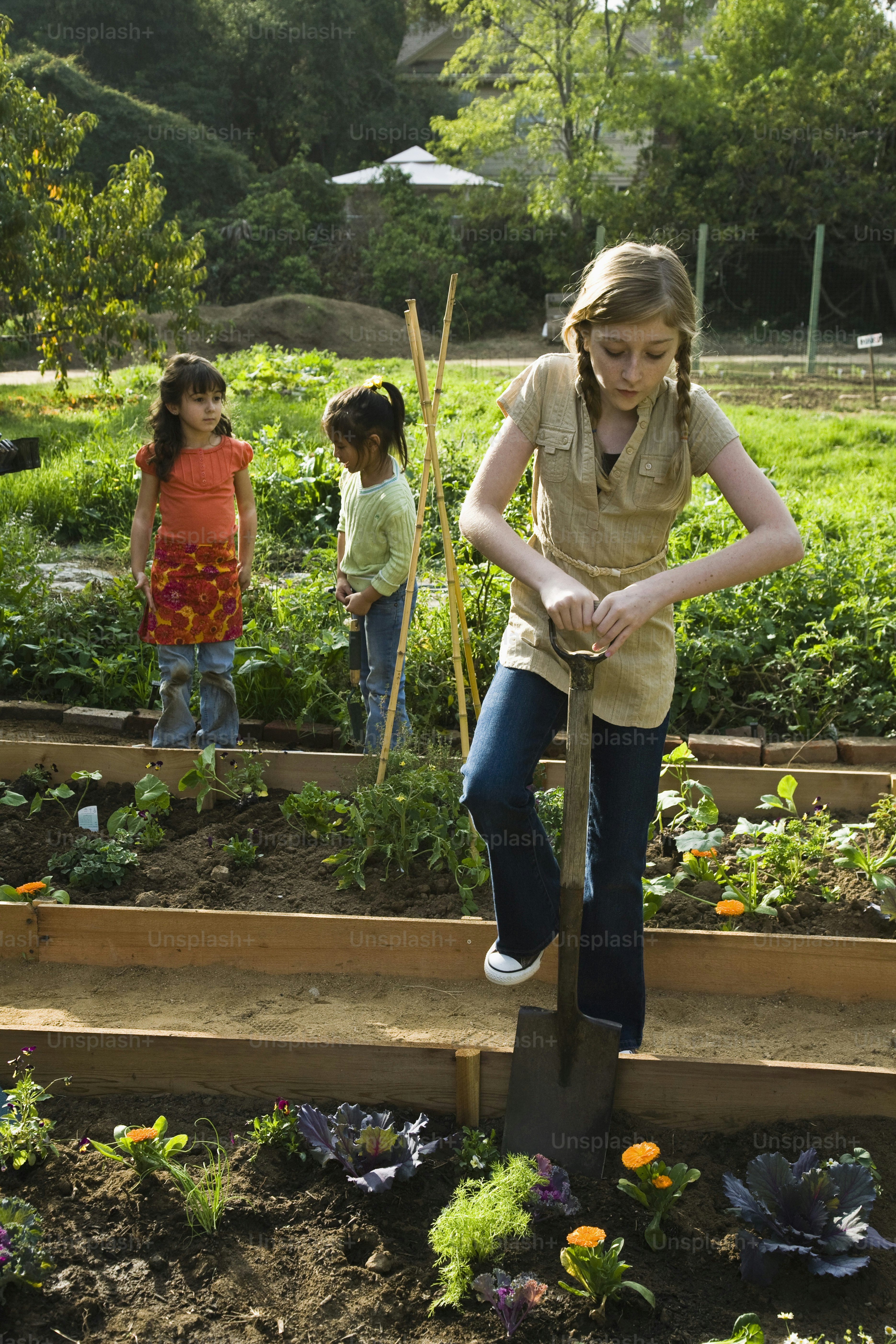 A young girl is digging in a garden photo – People Image on Unsplash