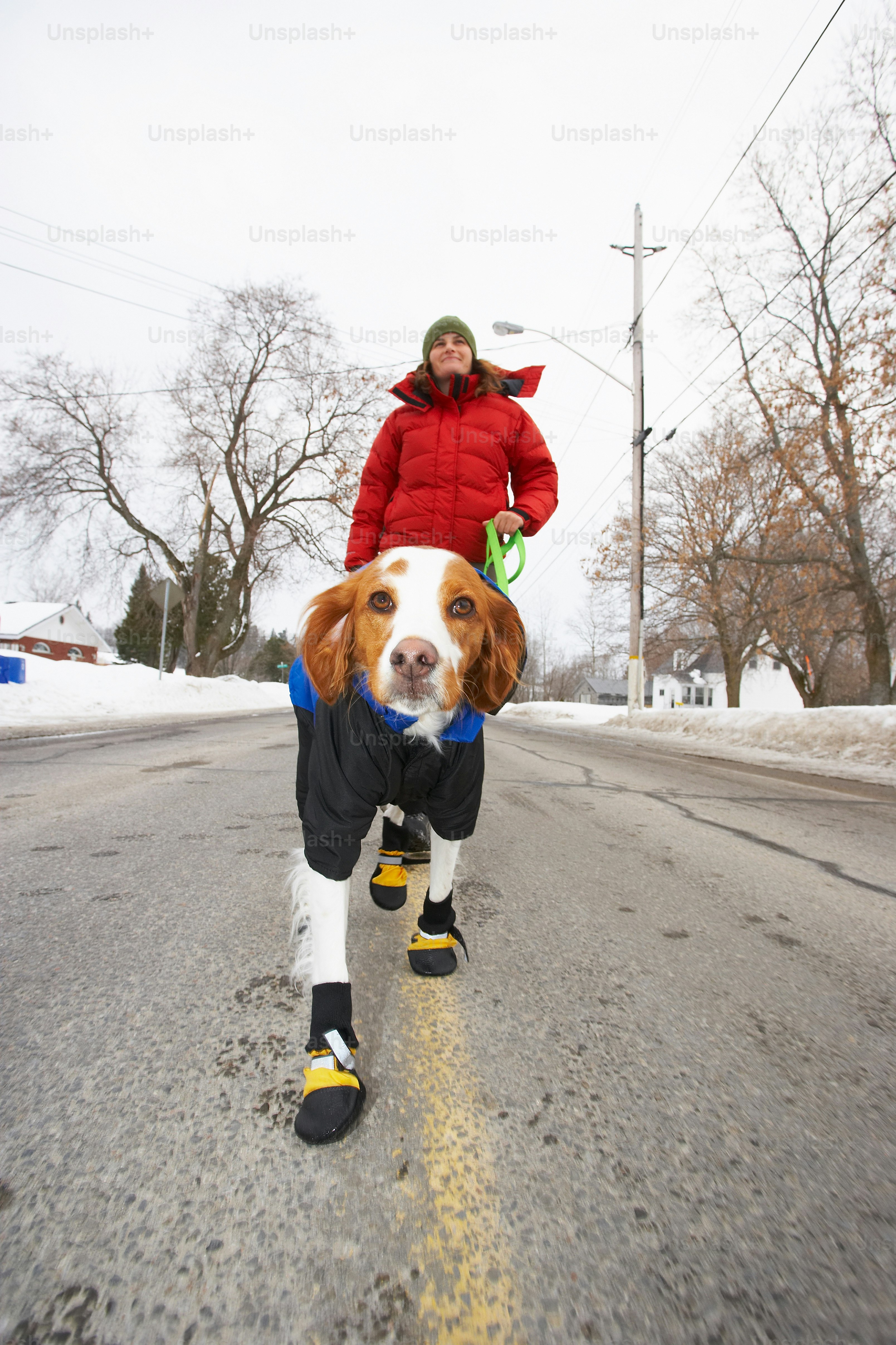 A person riding a dog on the back of a skateboard photo – Girl and dog ...
