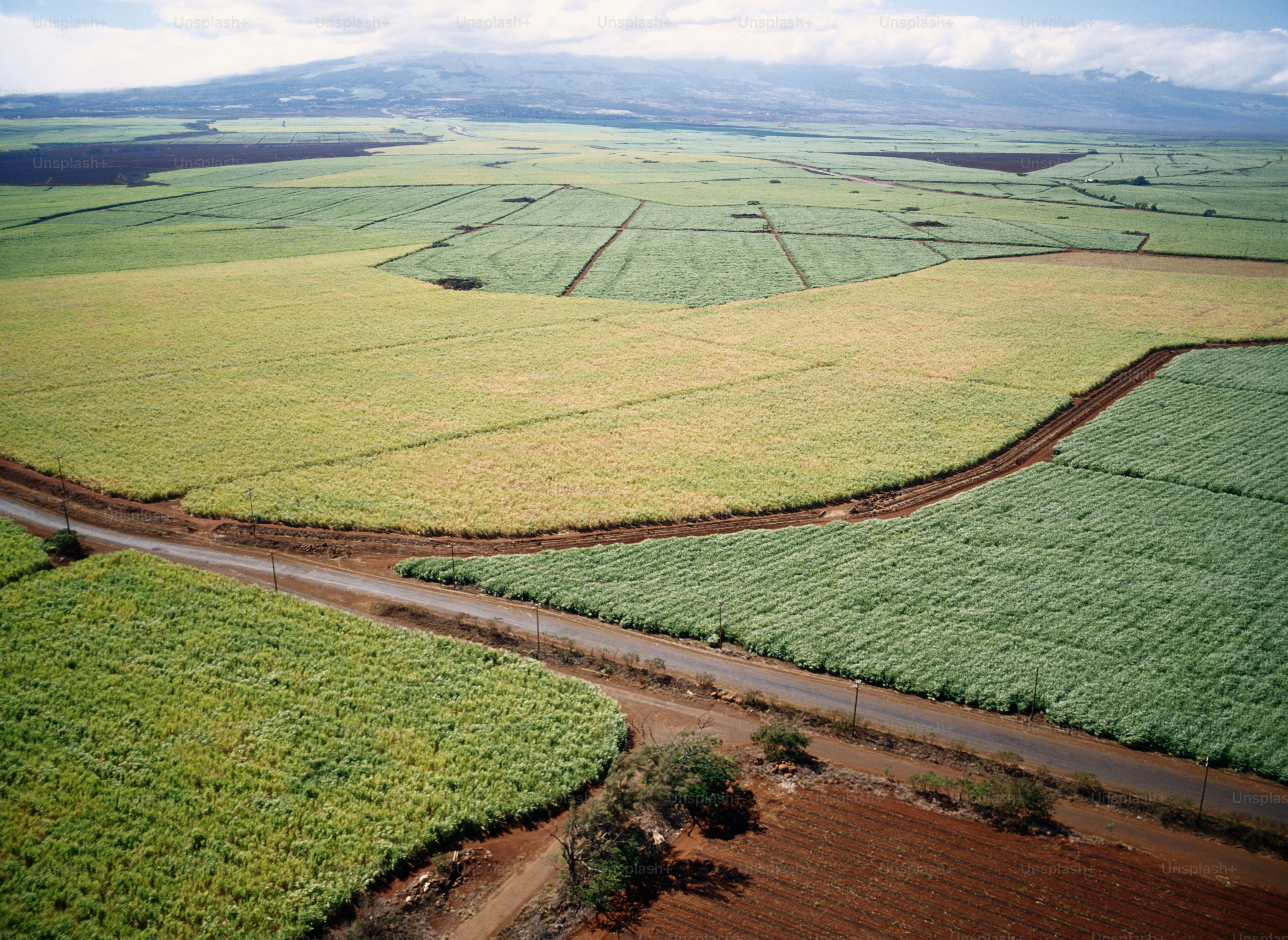 Une vue aérienne d’une route traversant un champ photo – En plein air ...