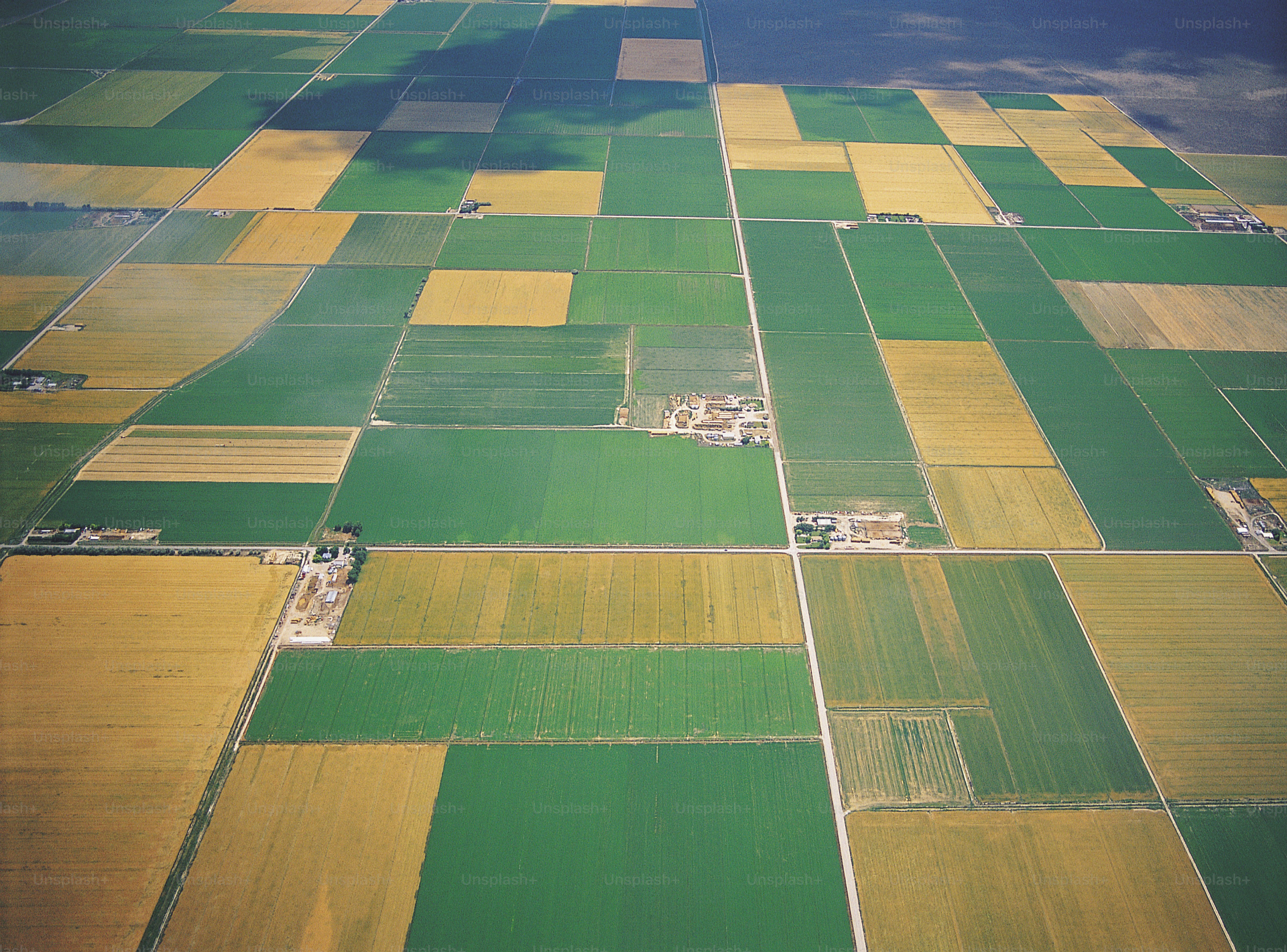 An aerial view of a green and yellow field photo – Day Image on Unsplash