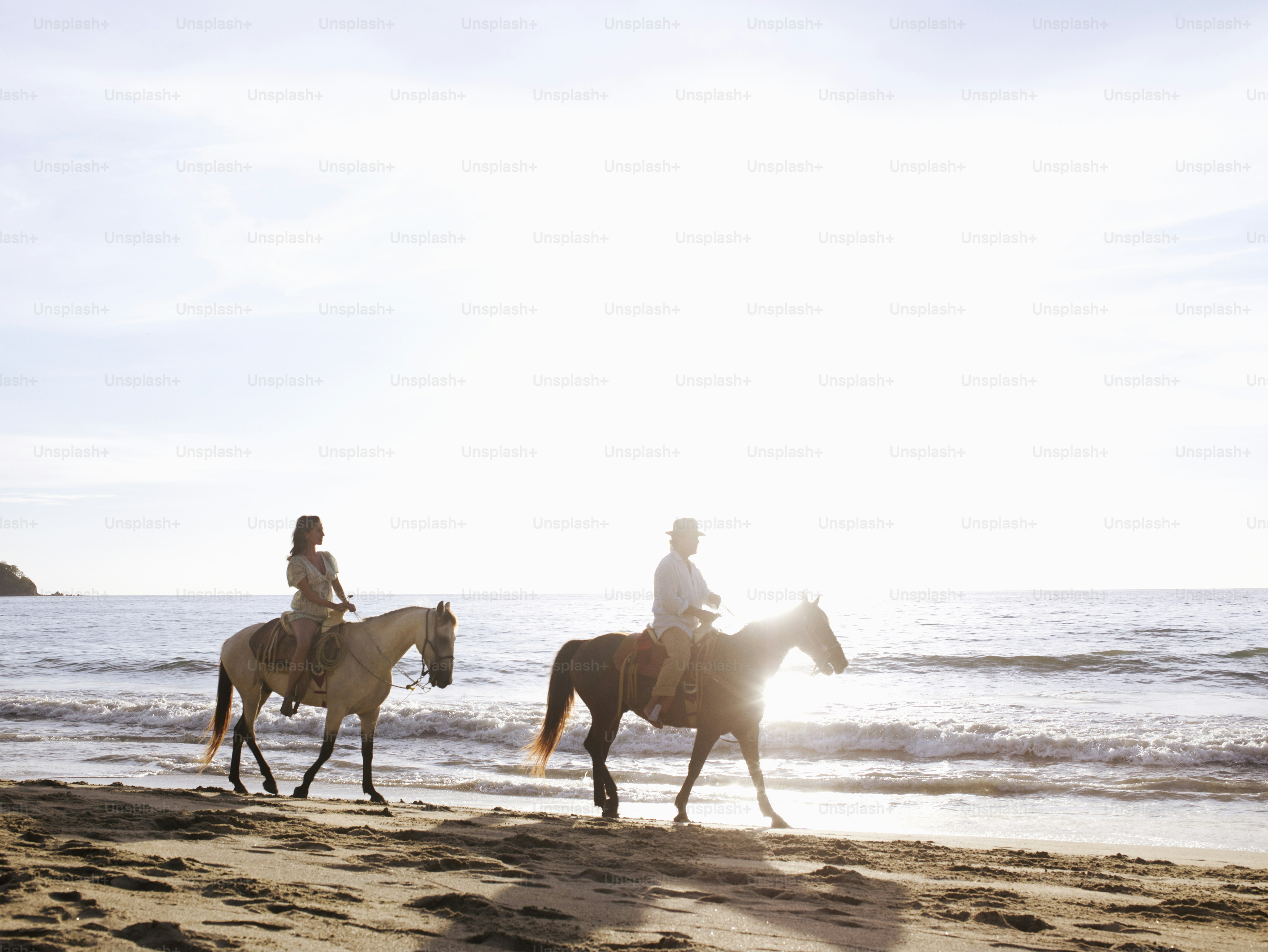 Imágenes de Caballos En La Playa | Descarga imágenes gratuitas en Unsplash