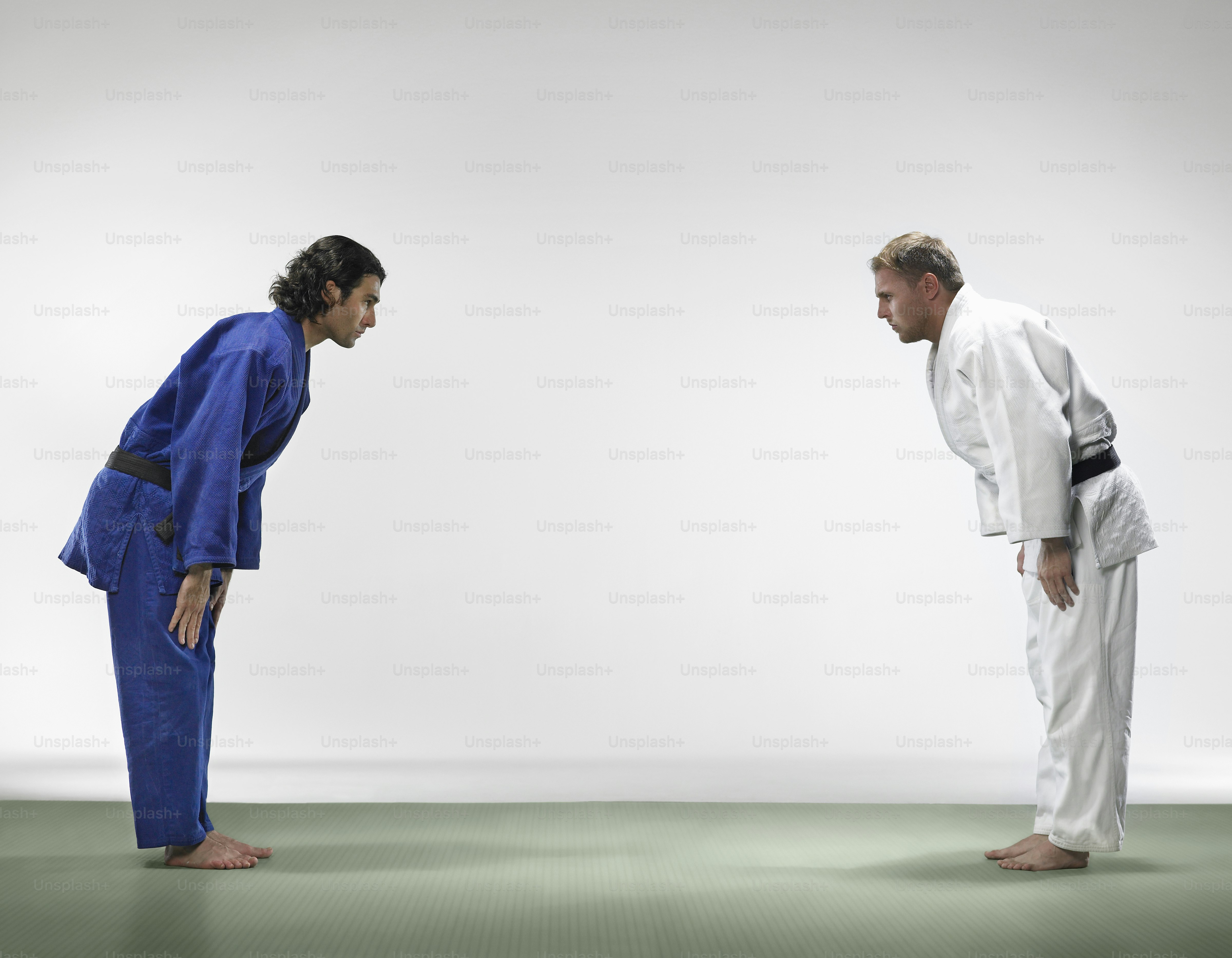 Bowing Pictures | Download Free Images on Unsplash