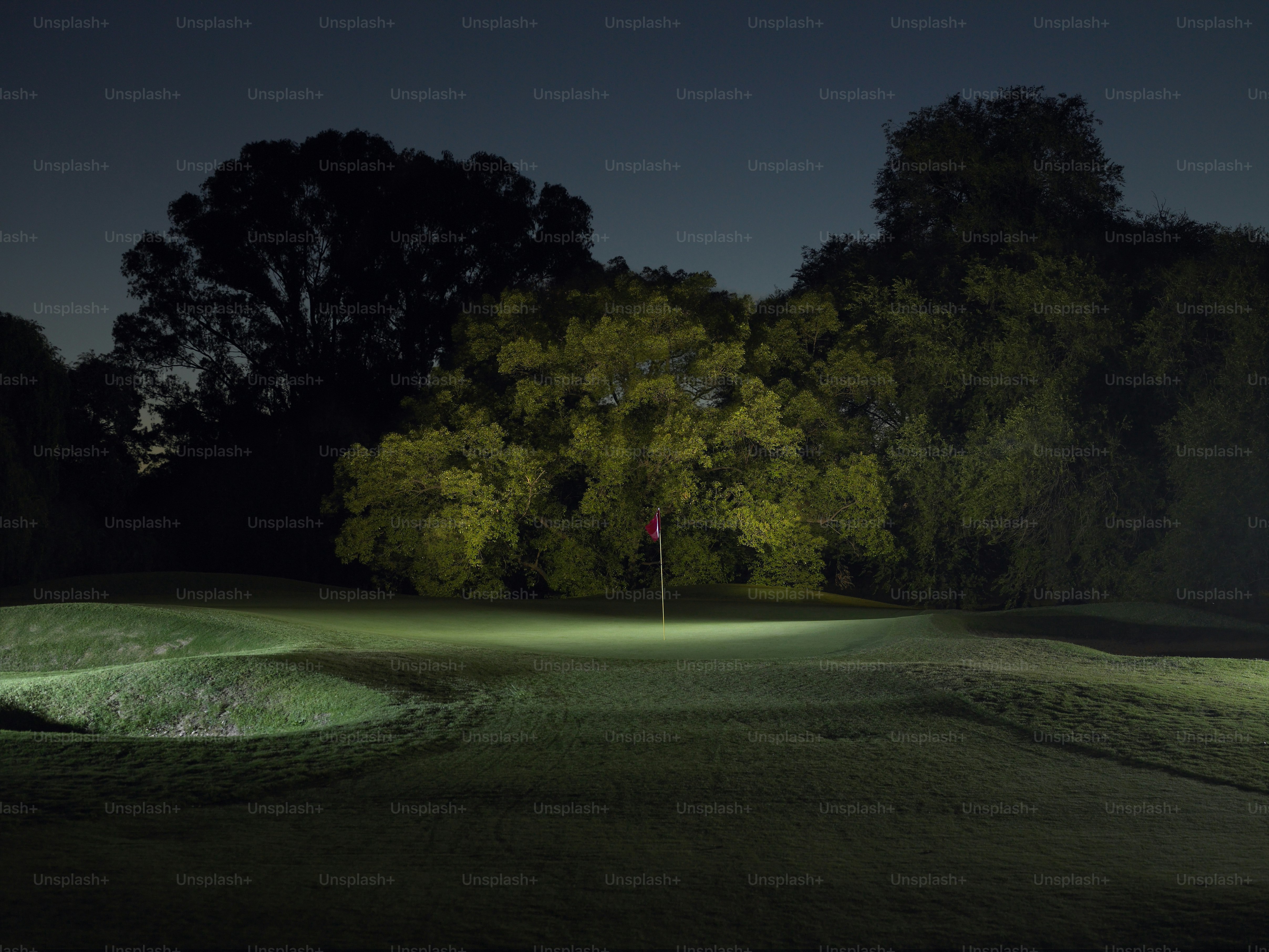 750+ Golf Course Pictures | Download Free Images on Unsplash