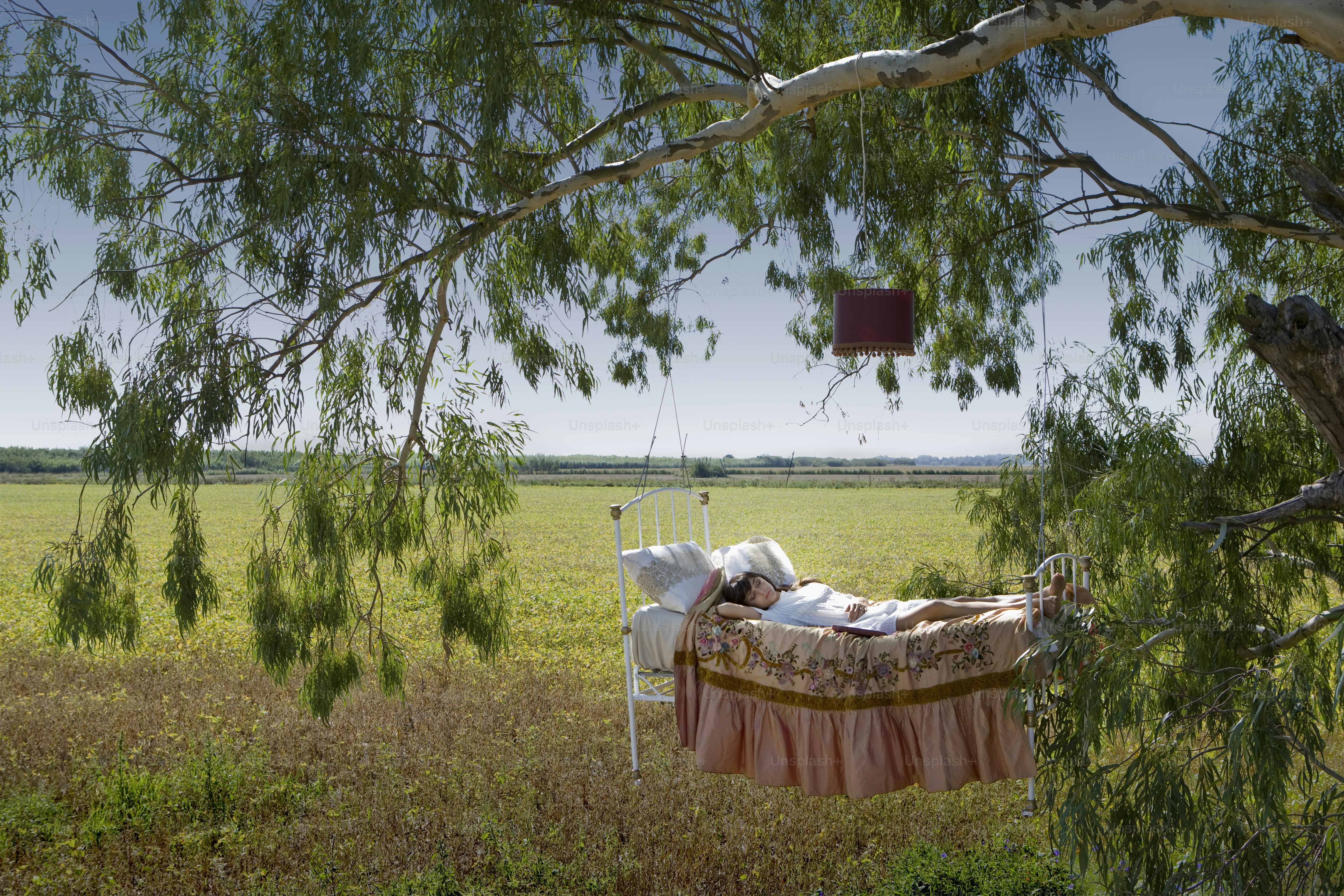 A person laying in a bed under a tree photo – Tree Image on Unsplash