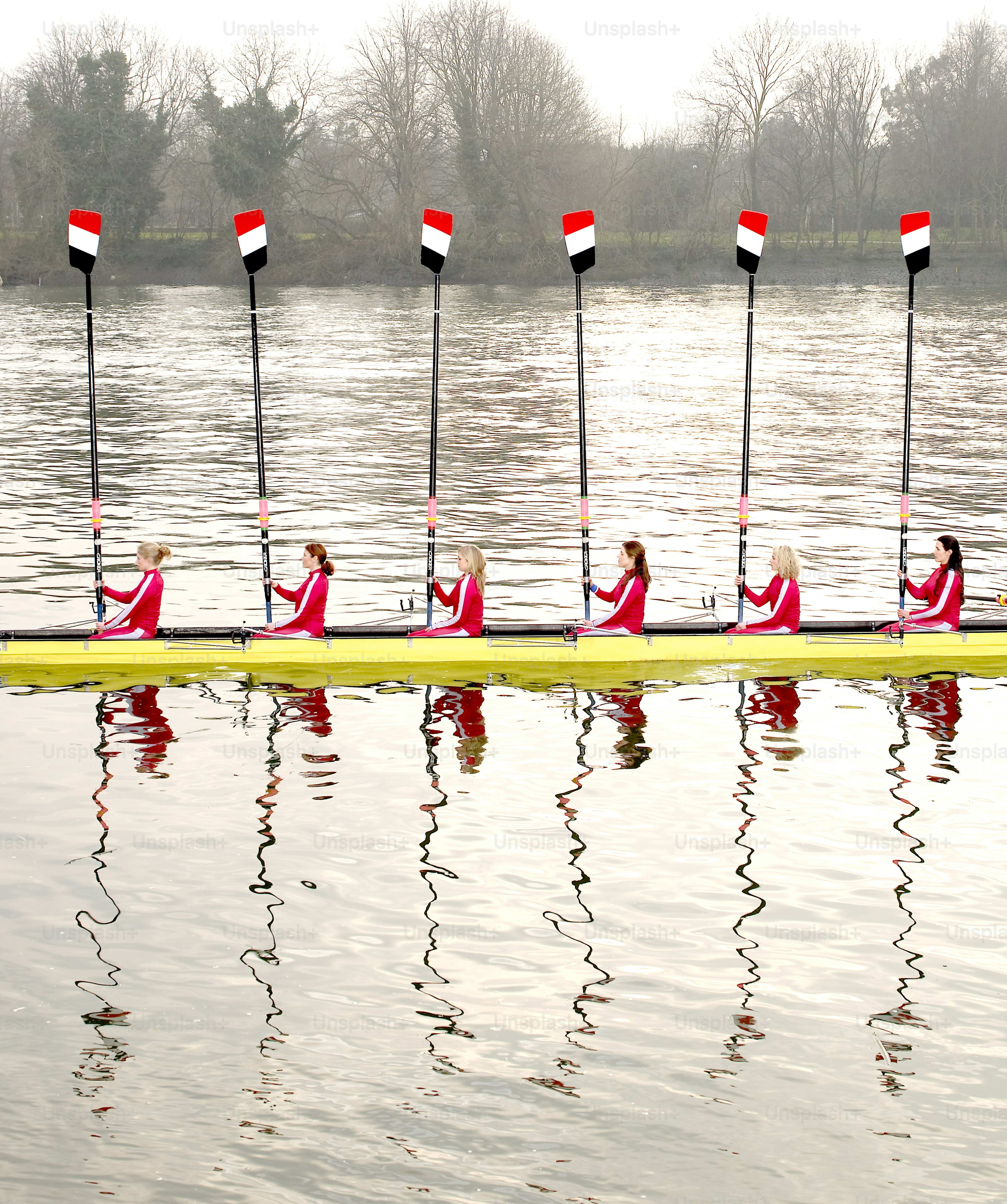 A row of people rowing a boat on a body of water photo – Crew Image on ...