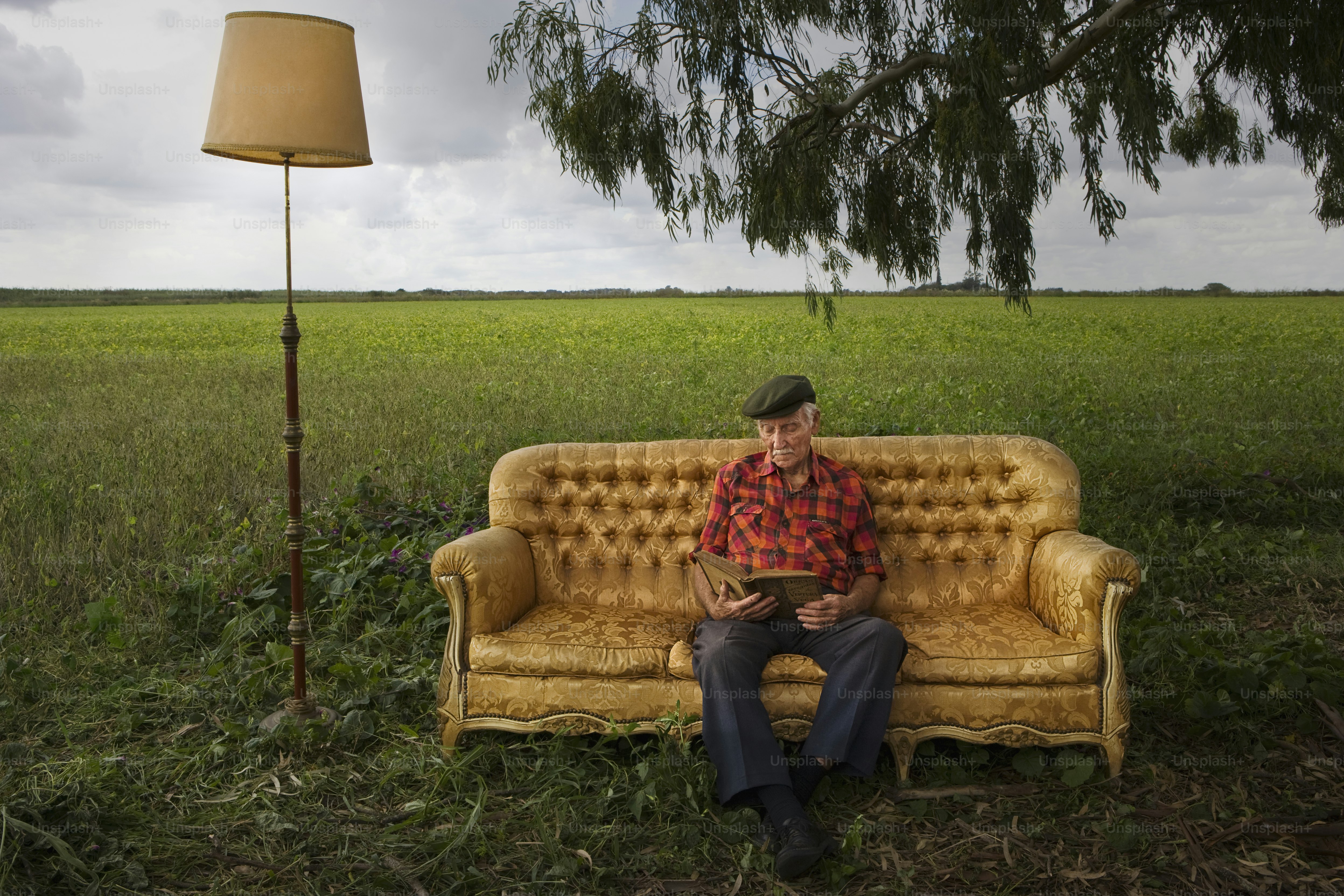 A man sitting on a couch in a field photo – Branch - plant part Image ...