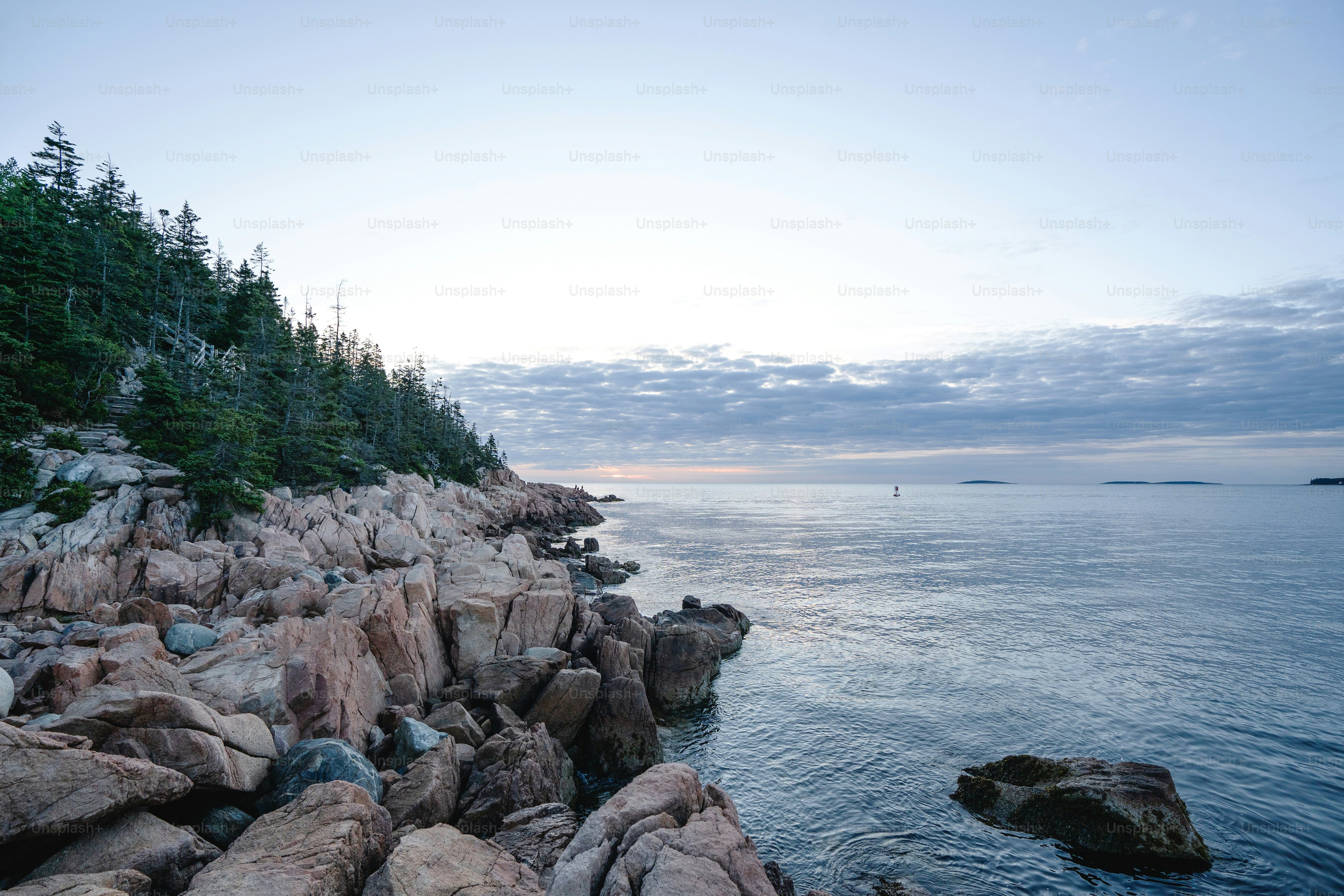 A rocky shoreline with trees and a body of water photo – Nature Image ...