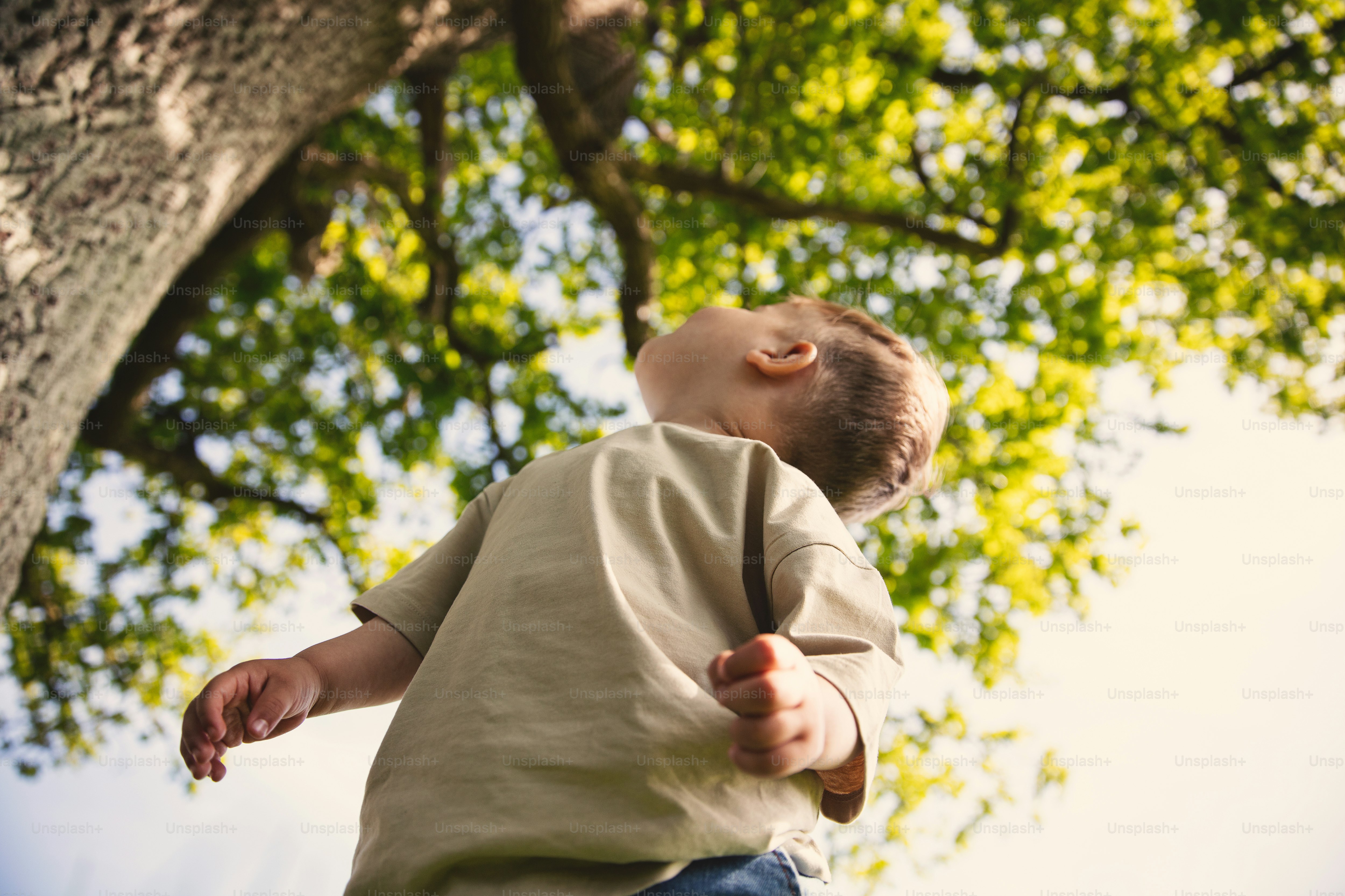 A young boy reaching up into a tree photo – Day trip Image on Unsplash