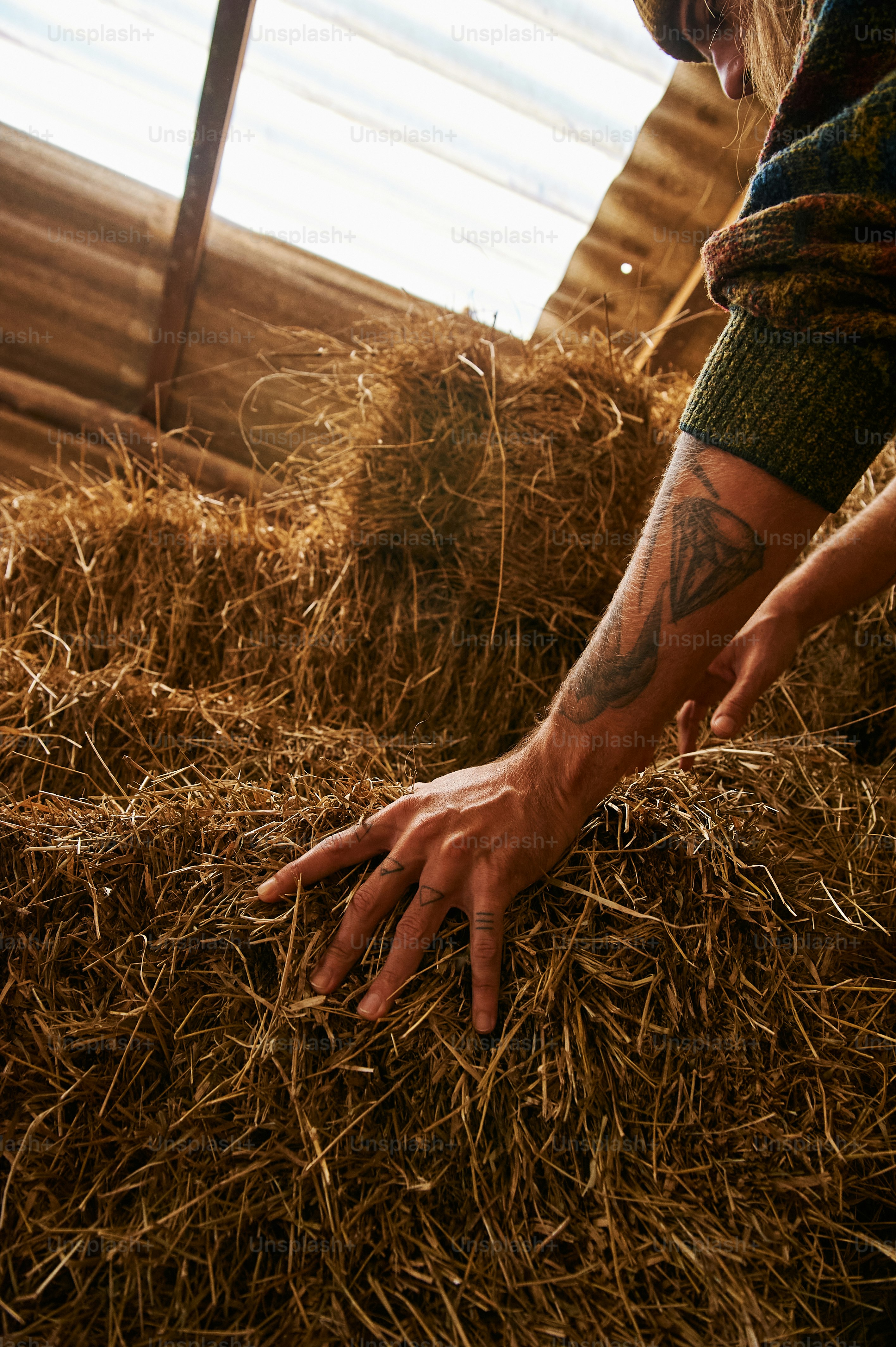 A person reaching for a pile of hay photo – Tattoo Image on Unsplash