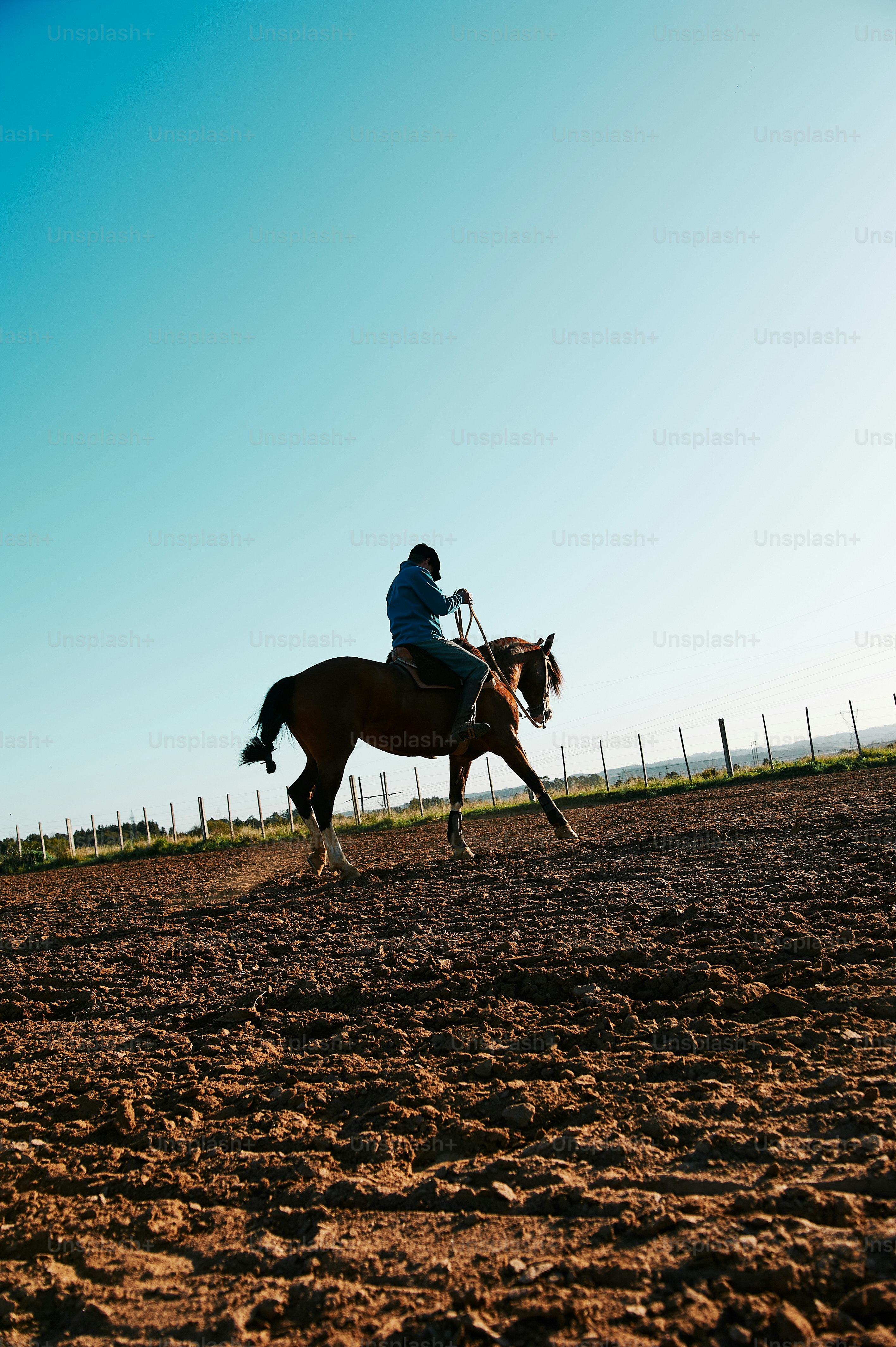 100+ Horse Riding Pictures [HD] | Download Free Images on Unsplash