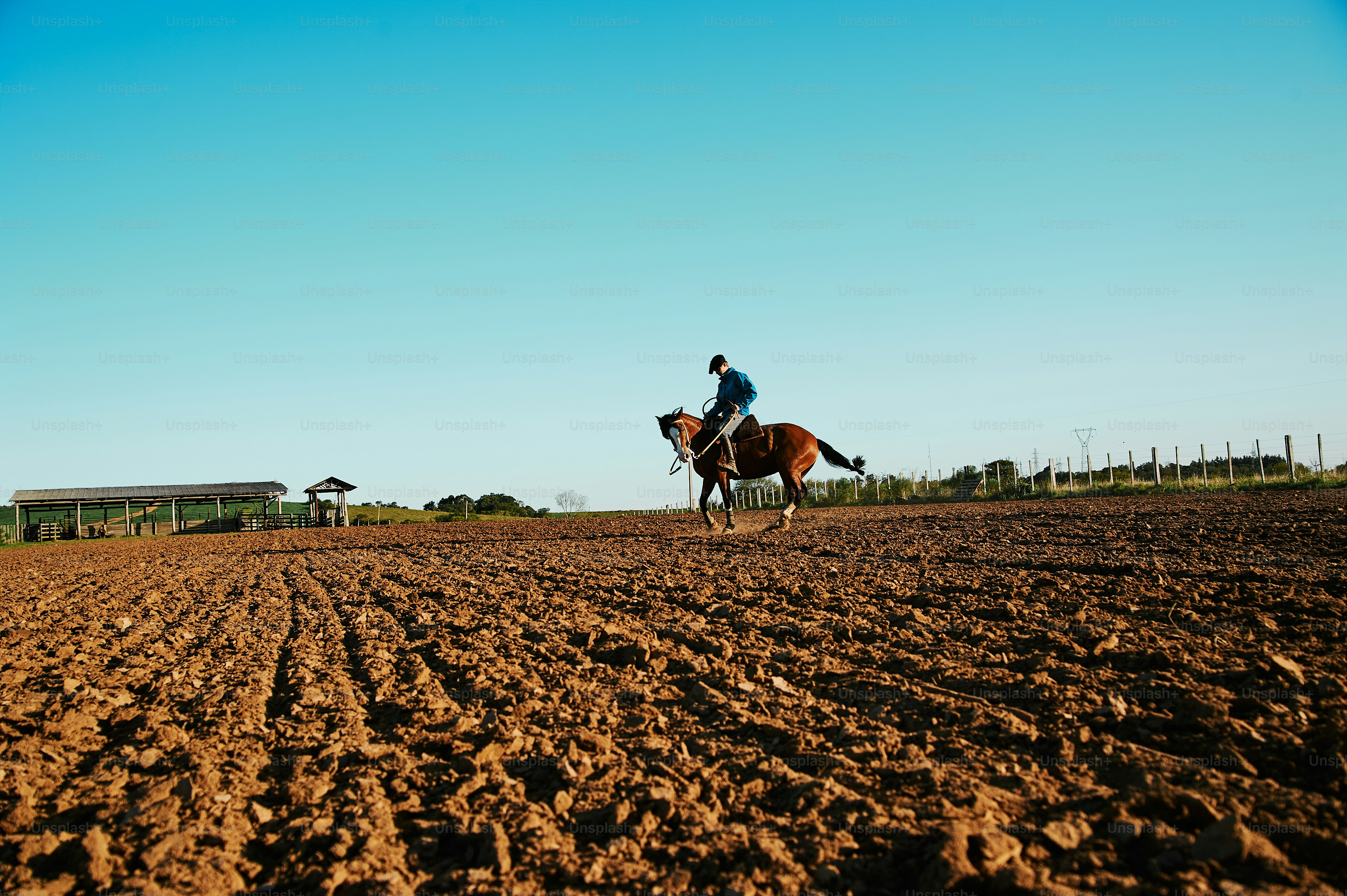 Un homme à cheval à travers un champ de terre photo – Cheval Photo sur ...