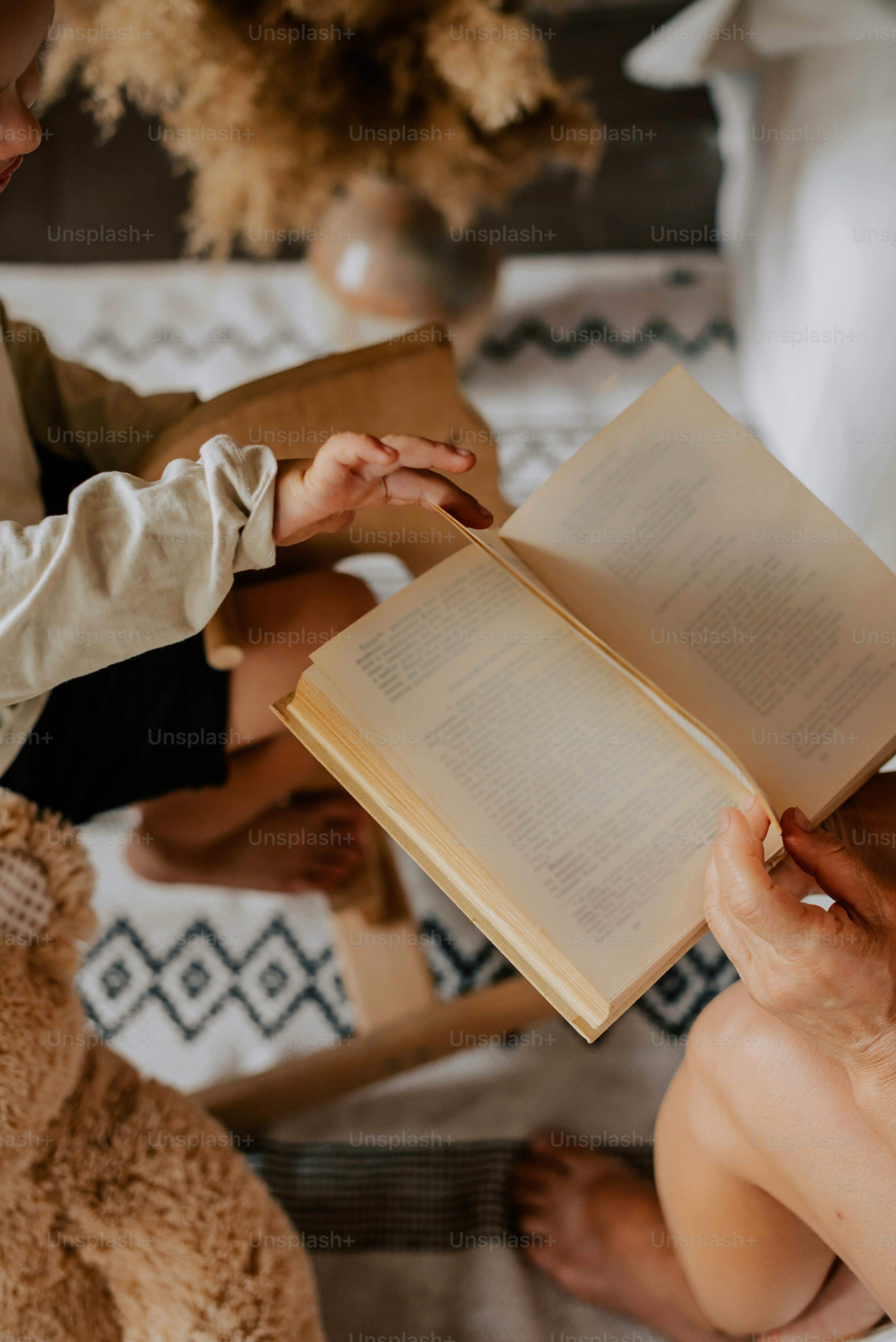 Book Reading Pictures | Download Free Images on Unsplash