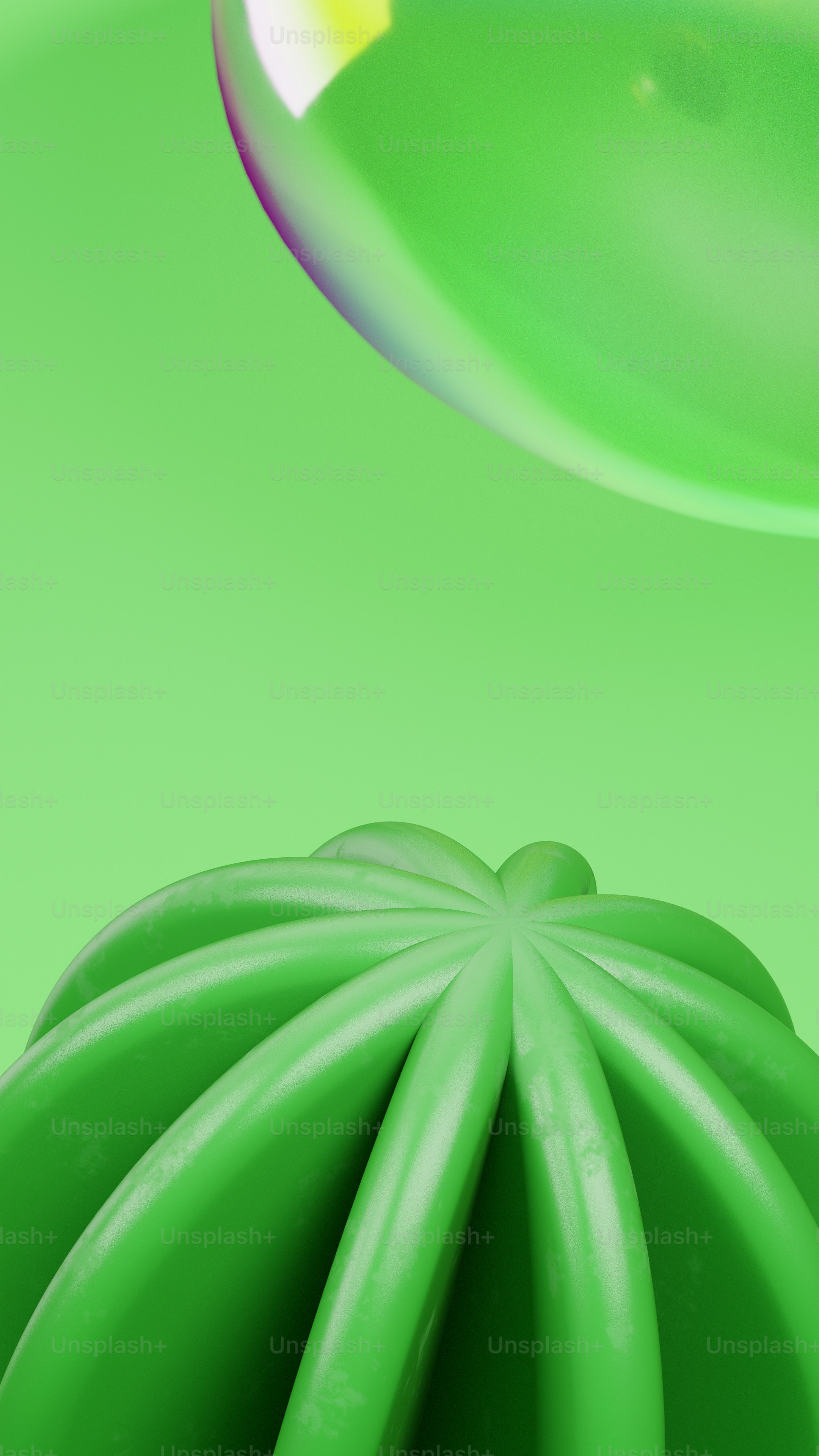 500+ Green Pictures [HD] | Download Free Images on Unsplash