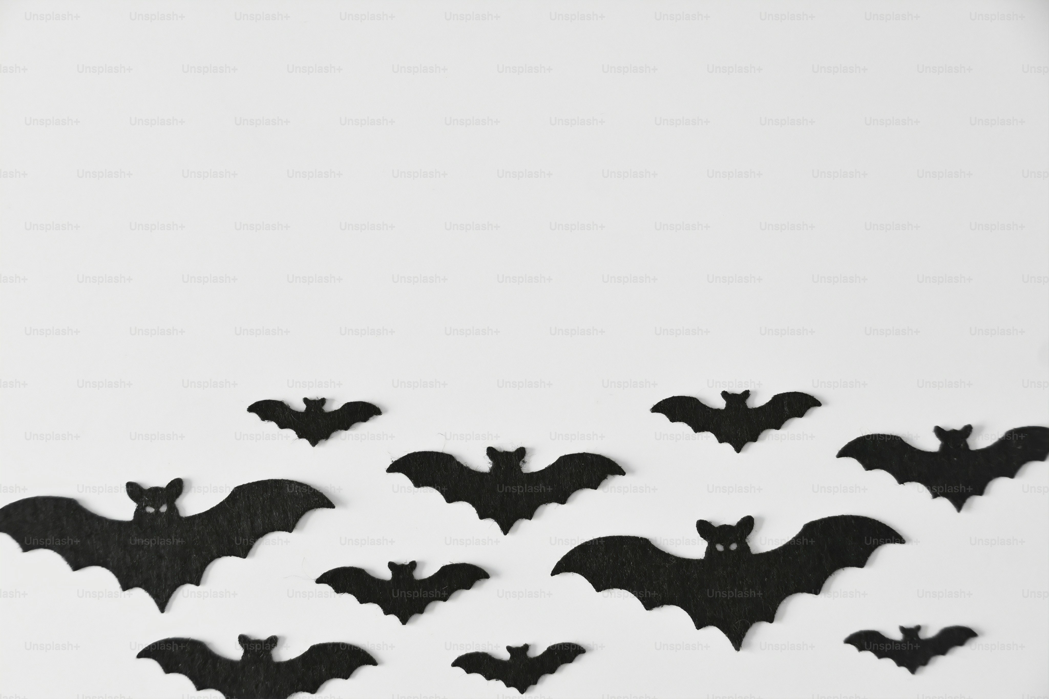 A group of bats flying through the air photo – Background Image on Unsplash