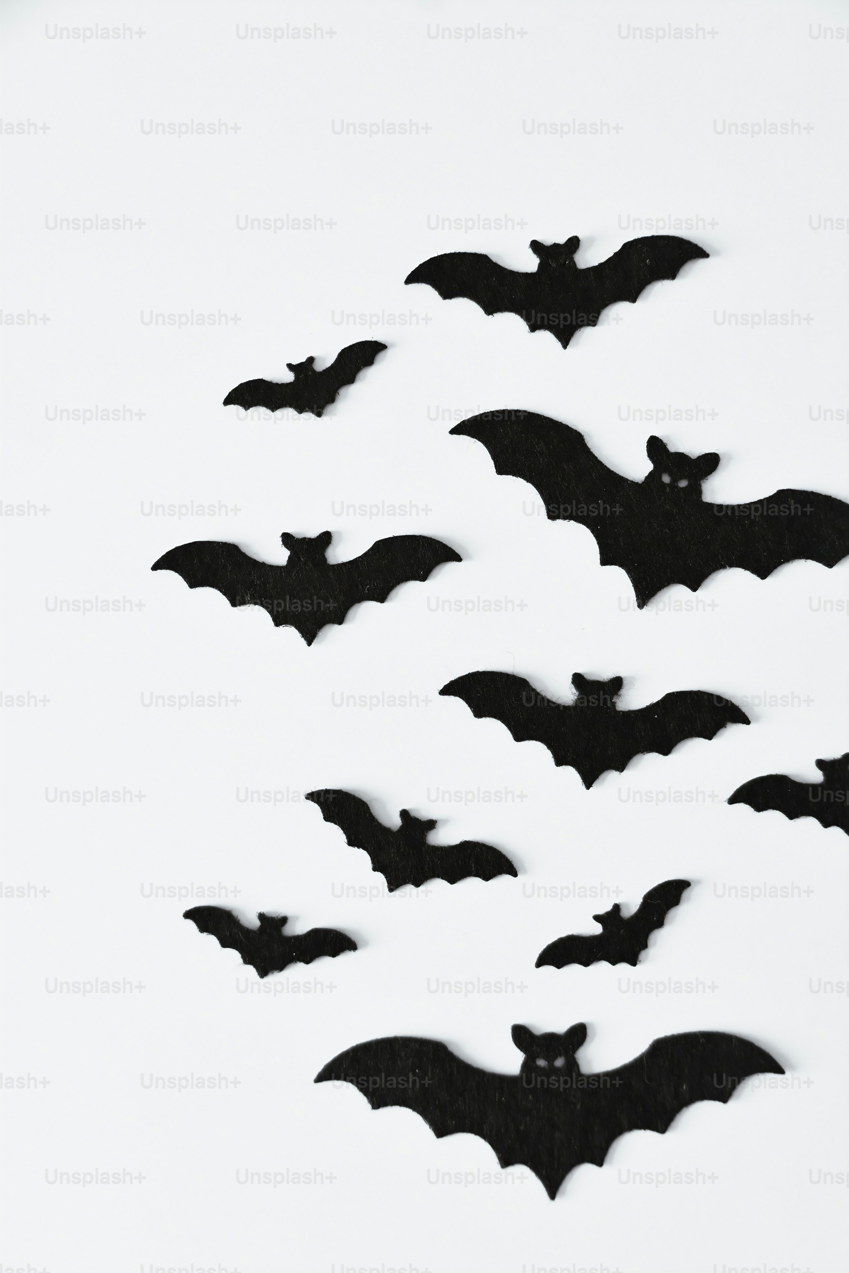 A group of bats flying through the air photo – Background Image on Unsplash
