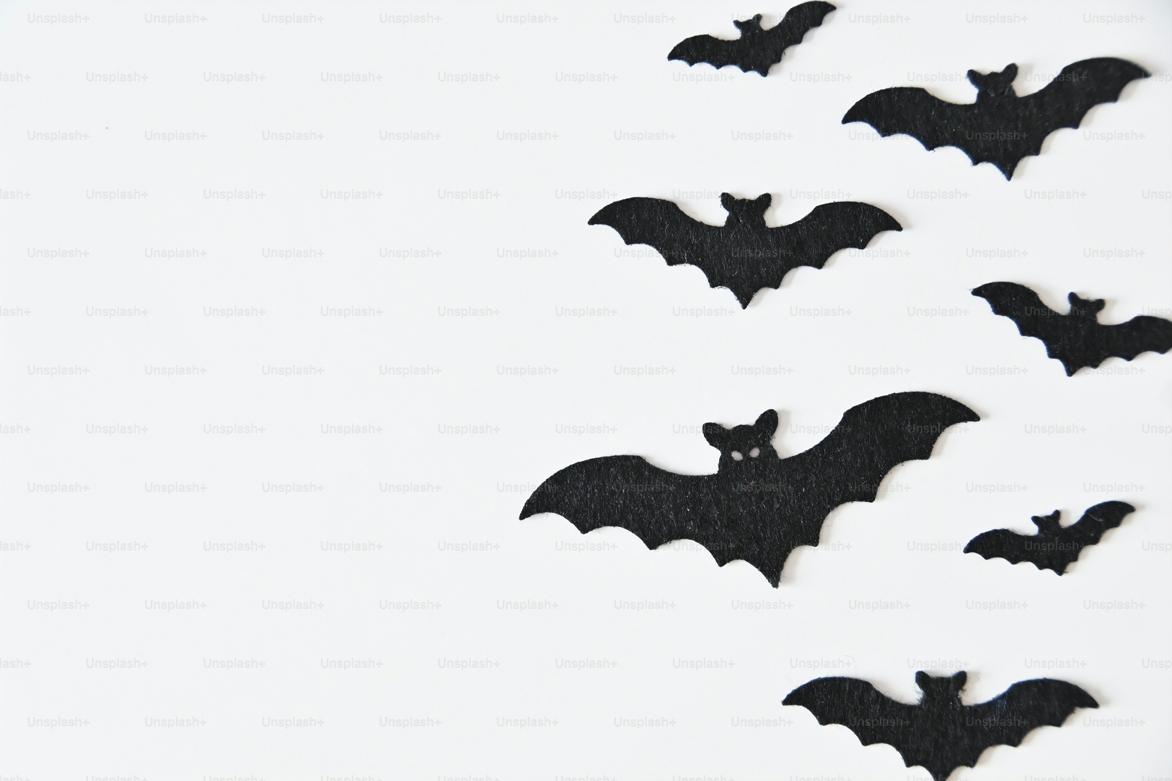 A group of bats flying through the air photo – Copyspace Image on Unsplash