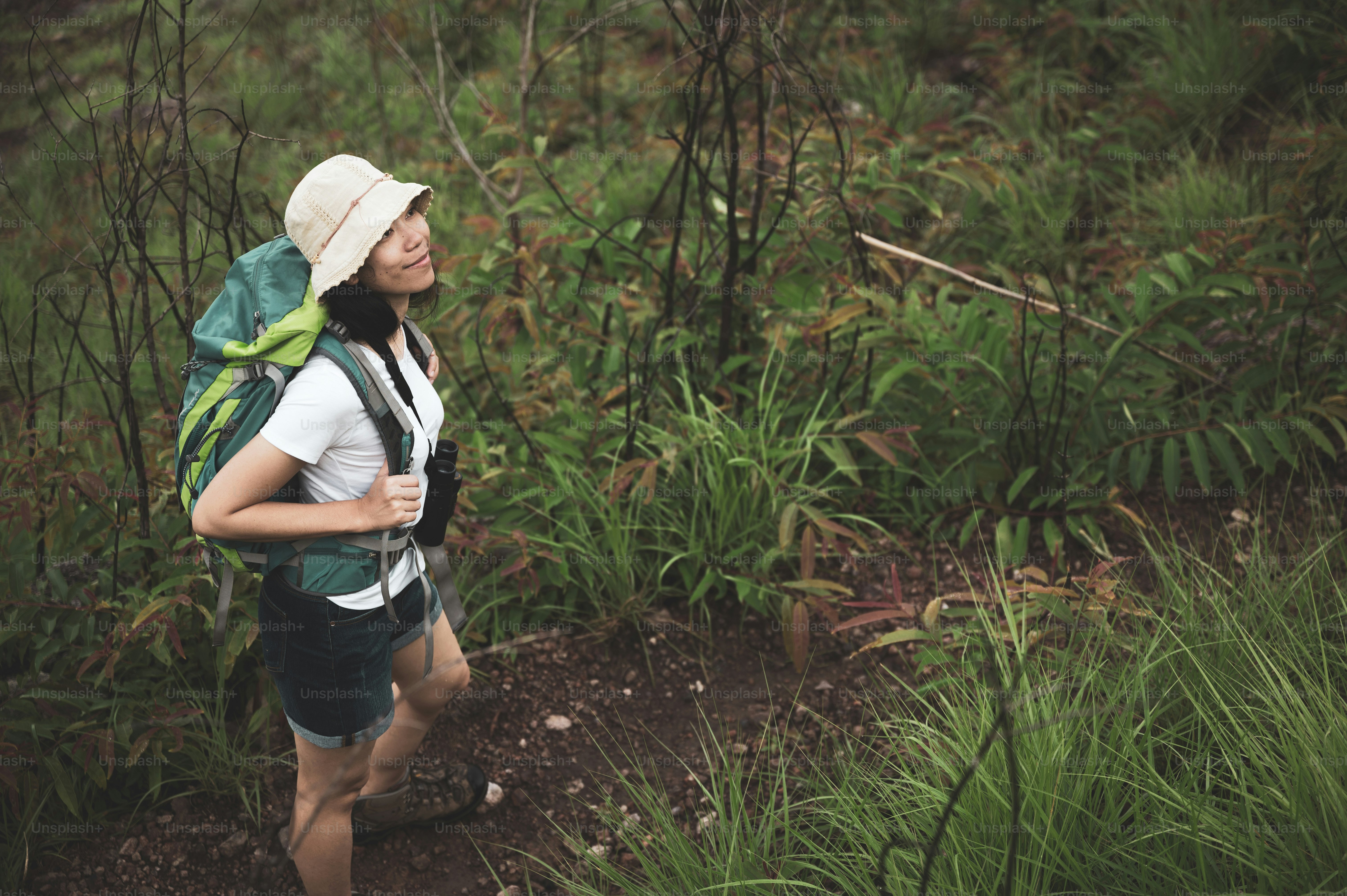 Hikers woman person with backpacks walking and travel to the mountain ...
