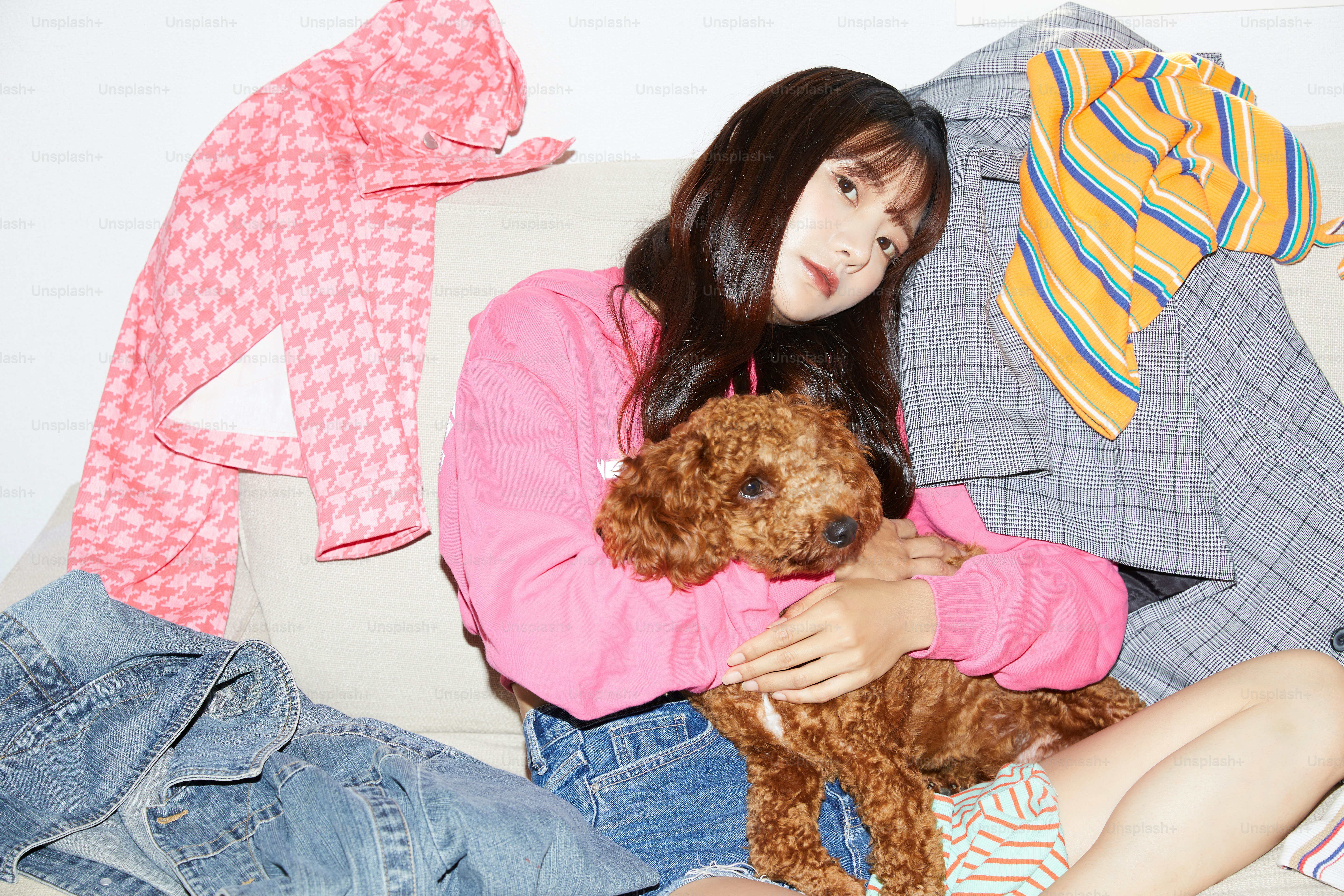 Imágenes de Perro Con Capucha | Descarga imágenes gratuitas en Unsplash