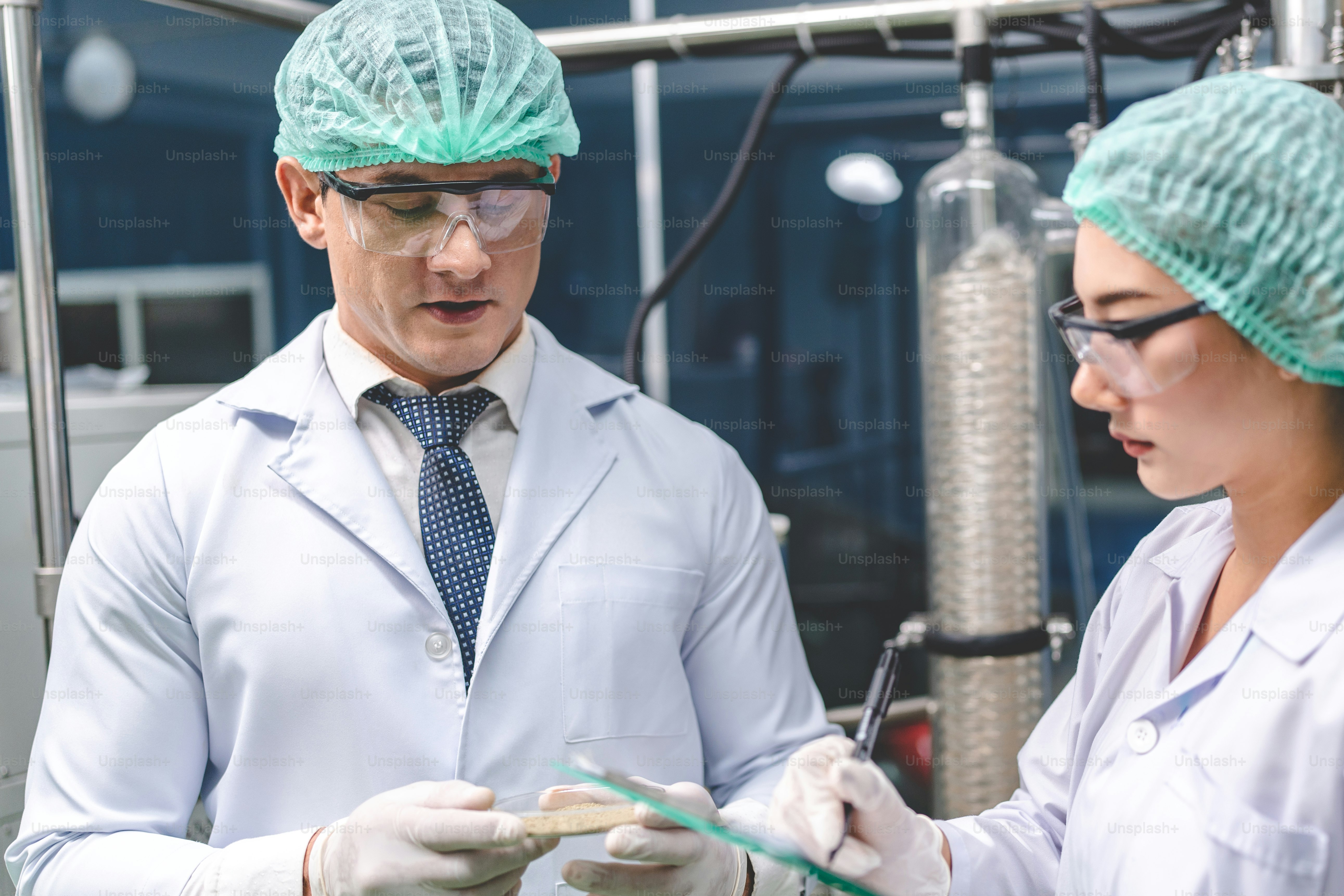 Scientist research medicine extract cbd oil from cannabis for ...